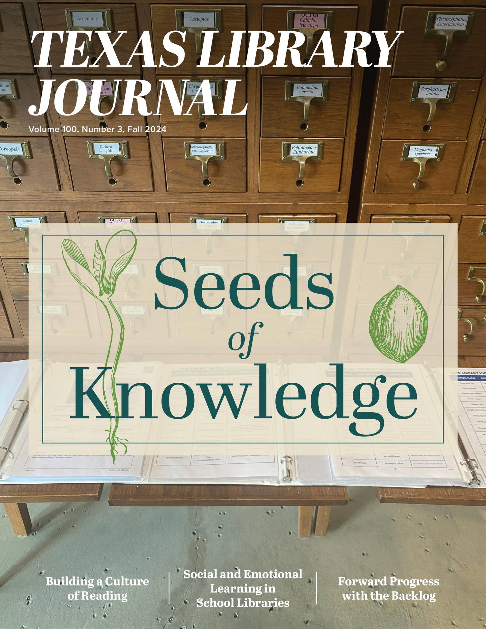 Texas Library Journal - Fall 2024 by Texas Library Association - Issuu