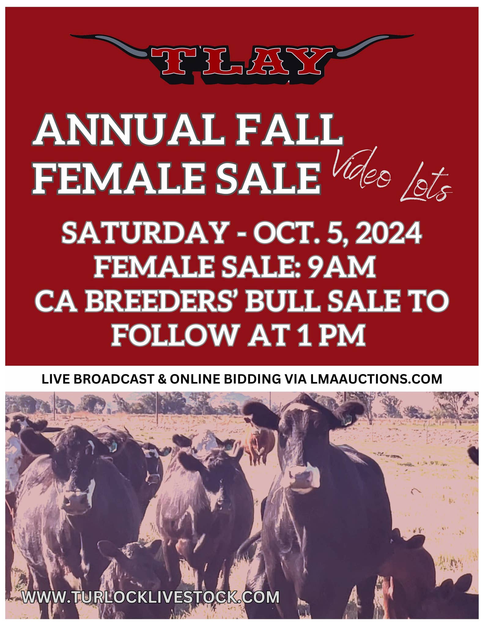 2024 TLAY ANNUAL FALL FEMALE SALE by TURLOCK LIVESTOCK AUCTION YARD - Issuu