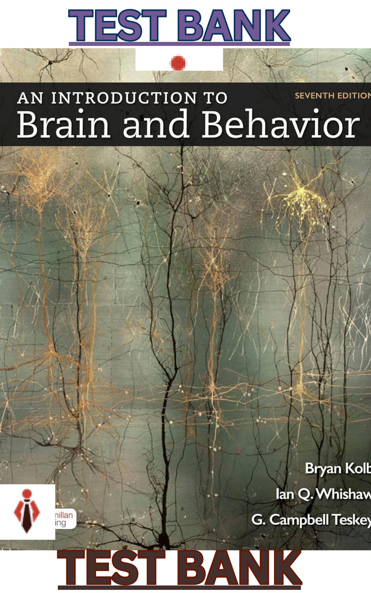 TEST BANK for An Introduction to Brain and Behavior 7th Edition by ...
