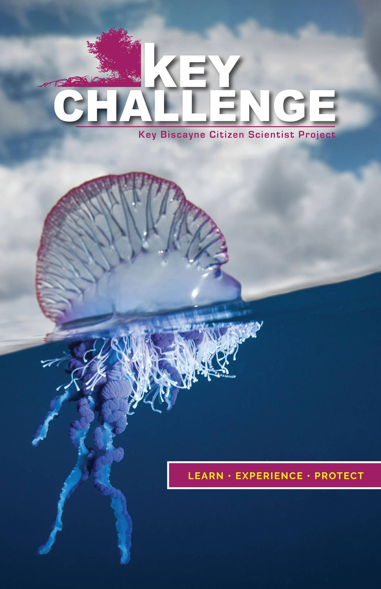 2024-25 Key Challenge by Key Biscayne Foundation - Issuu
