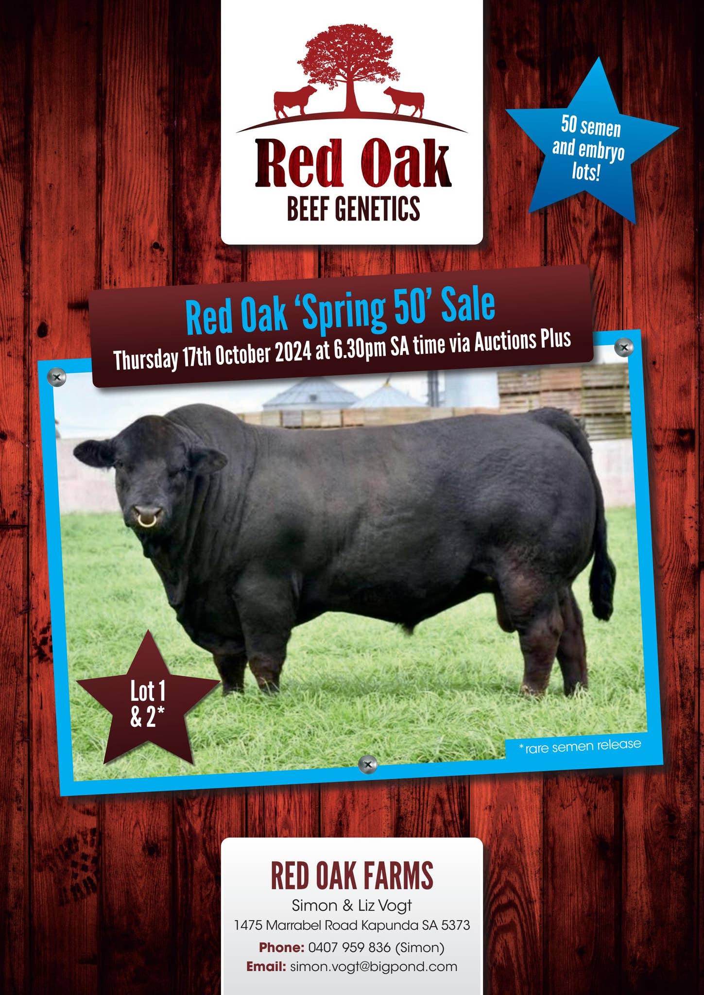 Red Oak ‘Spring 50’ Sale by eurekaprinters - Issuu