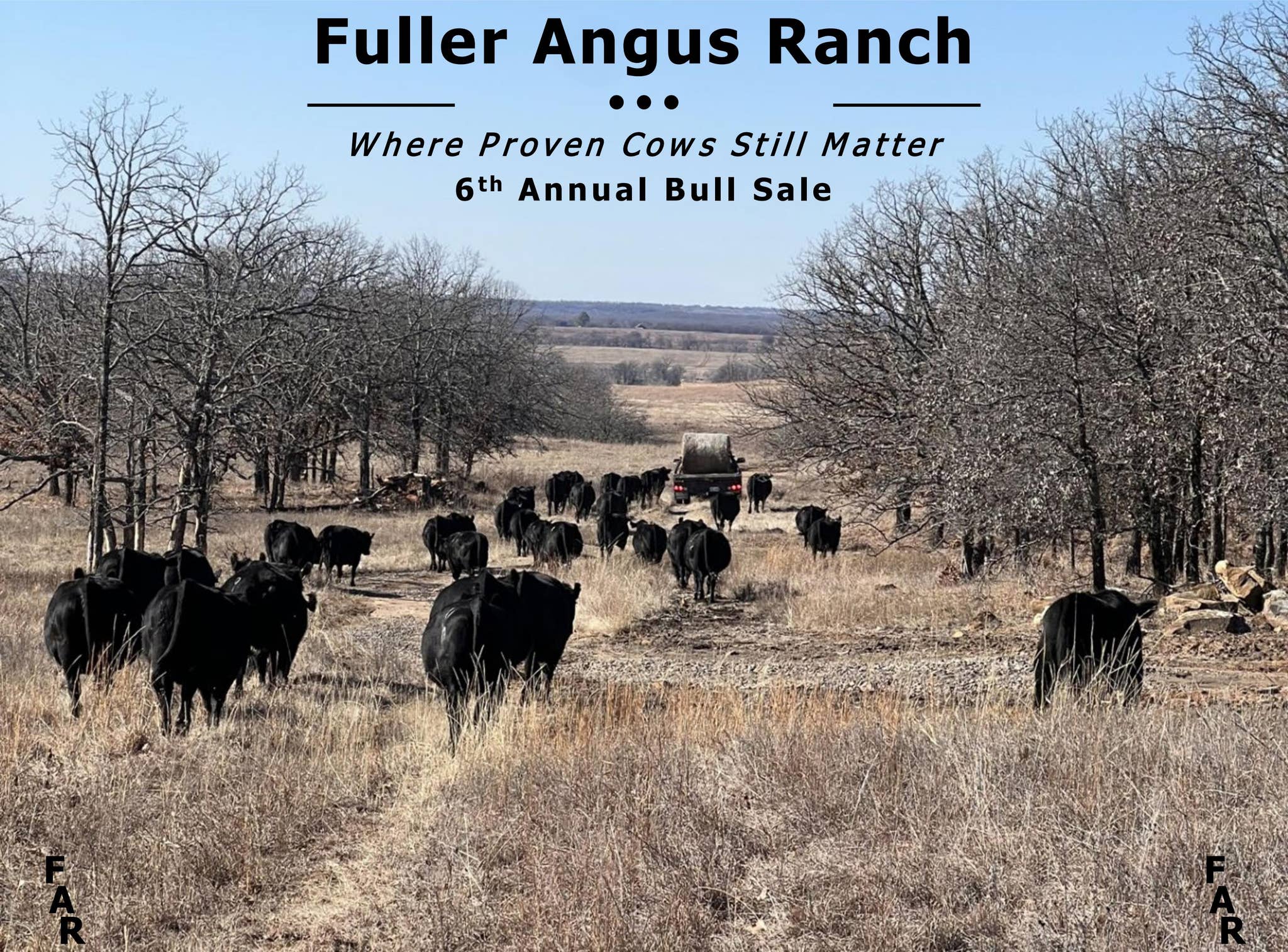 Fuller Angus Ranch Fall 2024 Bull Sale by Fuller Angus Ranch - Issuu