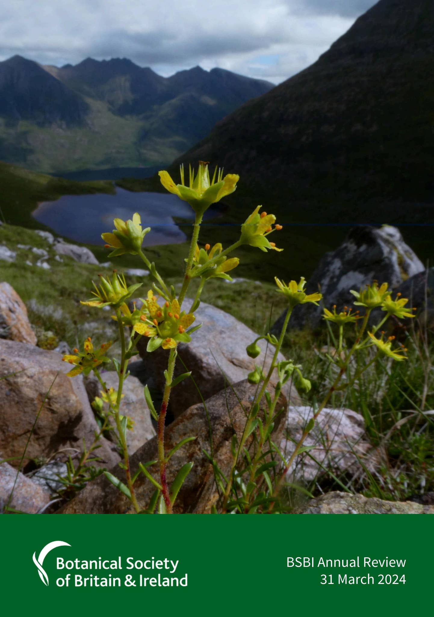 Annual Review 2024 by Botanical Society of Britain & Ireland - Issuu