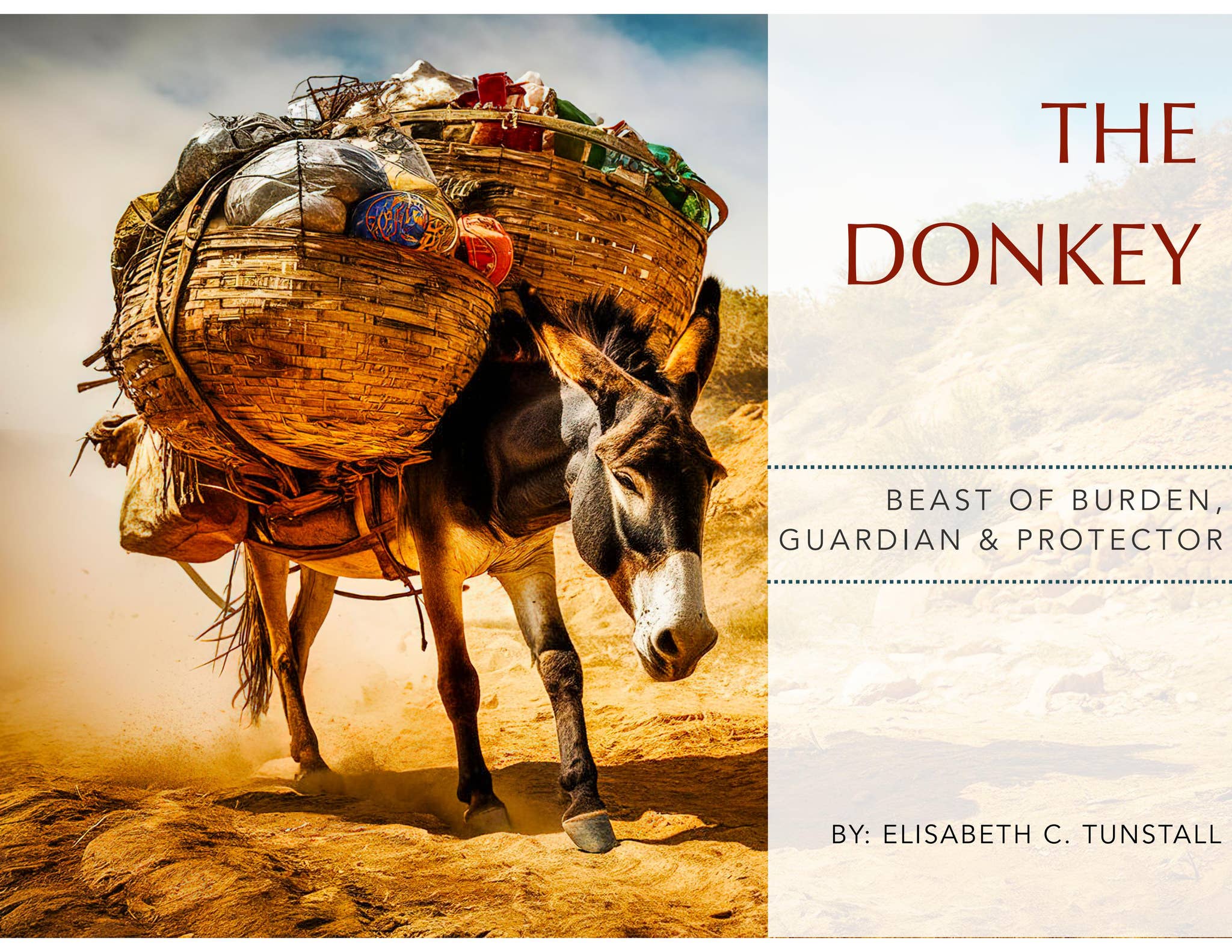 The Donkey: Beast of Burden, Guardian & Protector by Elisabeth Pointer ...