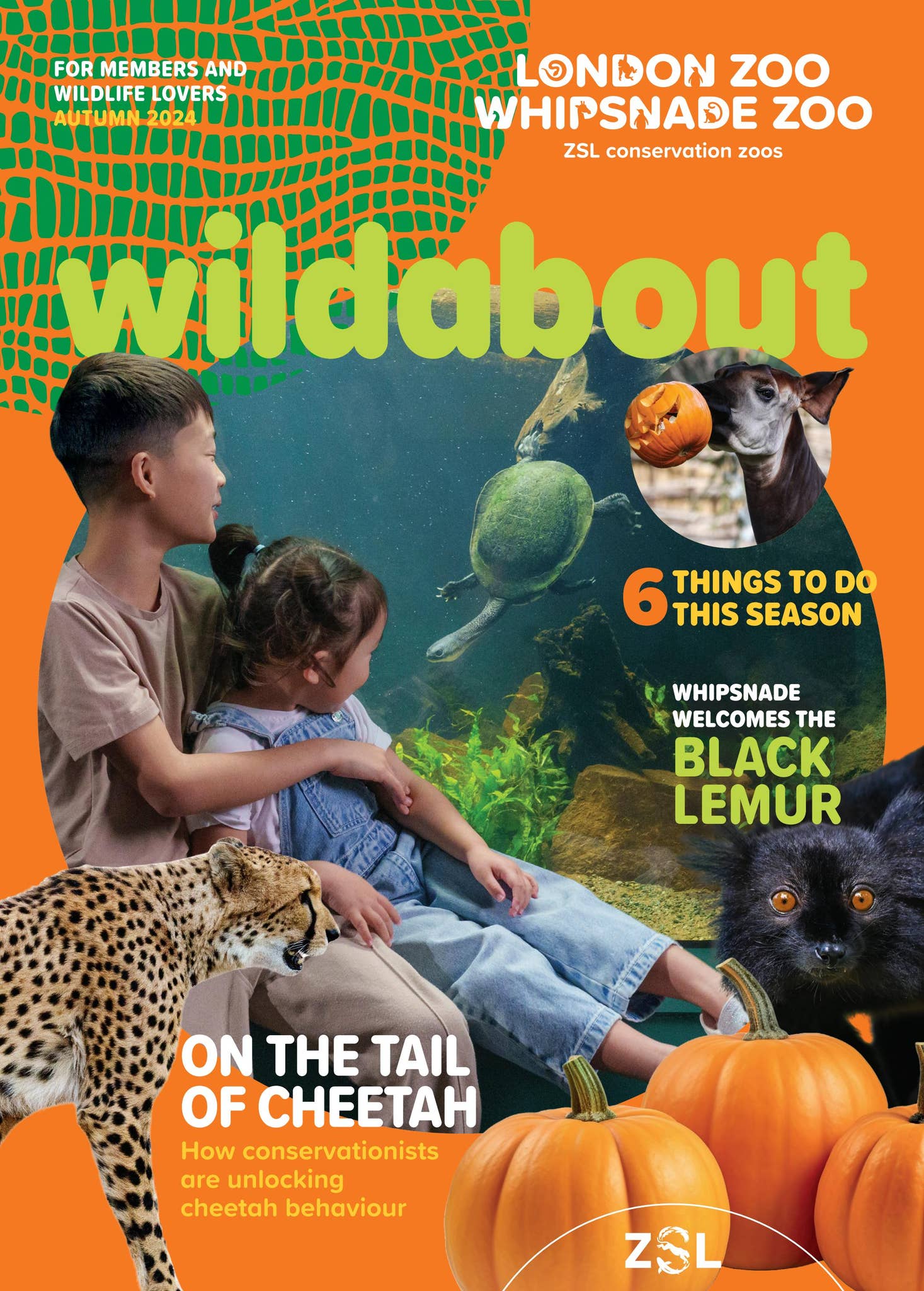 Wild About Autumn 2024 by ZSL - Issuu