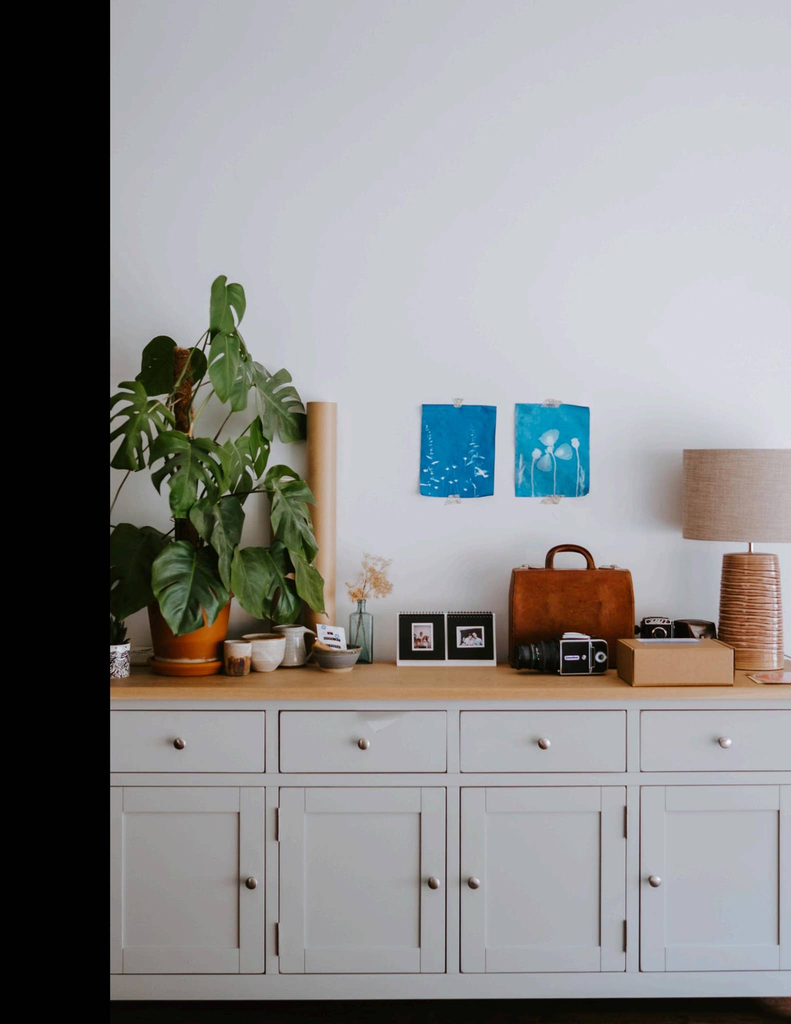 Marisa Wachhorst - Solano MR October 2024 by Procasa Technologies, Inc ...