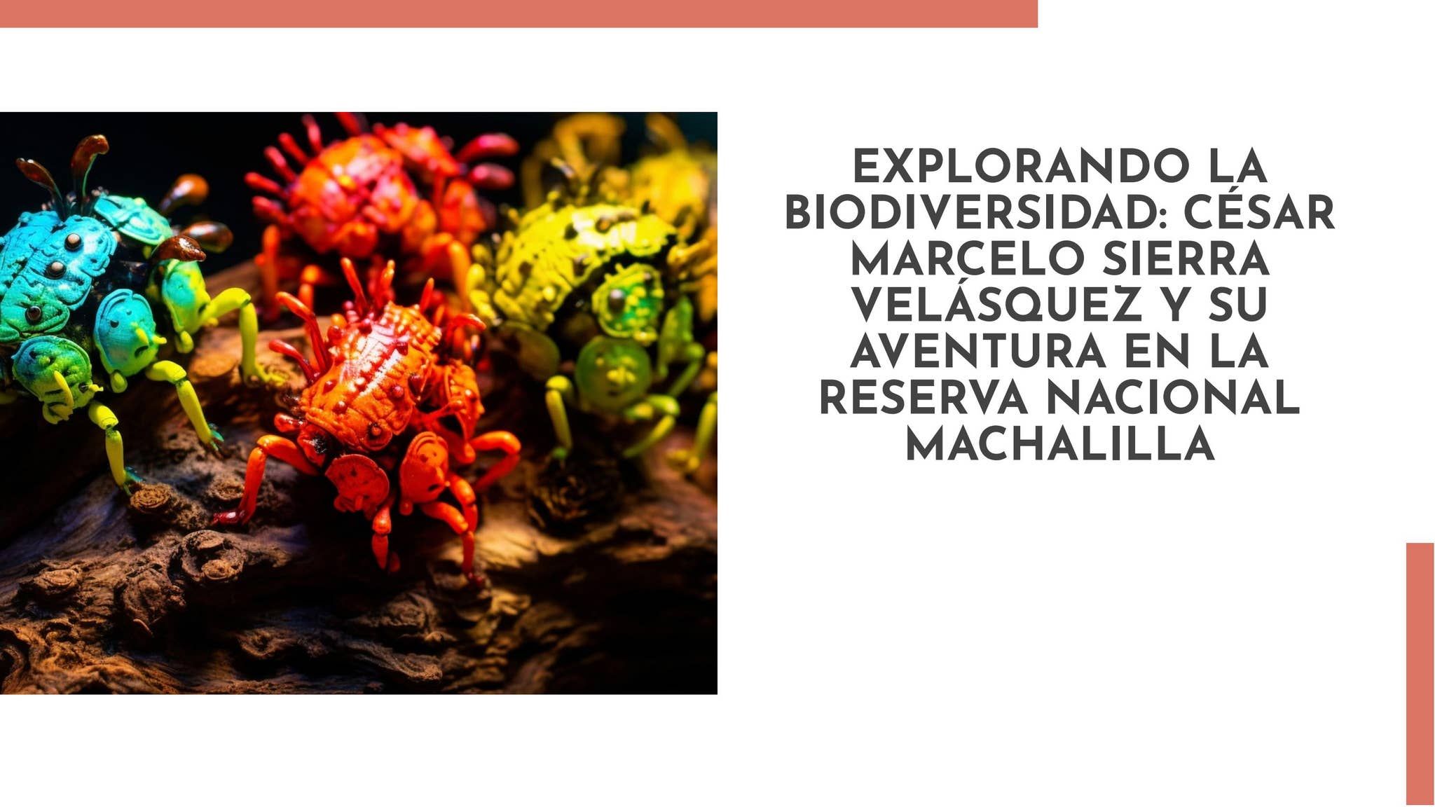 Explorando la Biodiversidad: César Marcelo Sierra Velásquez y su ...