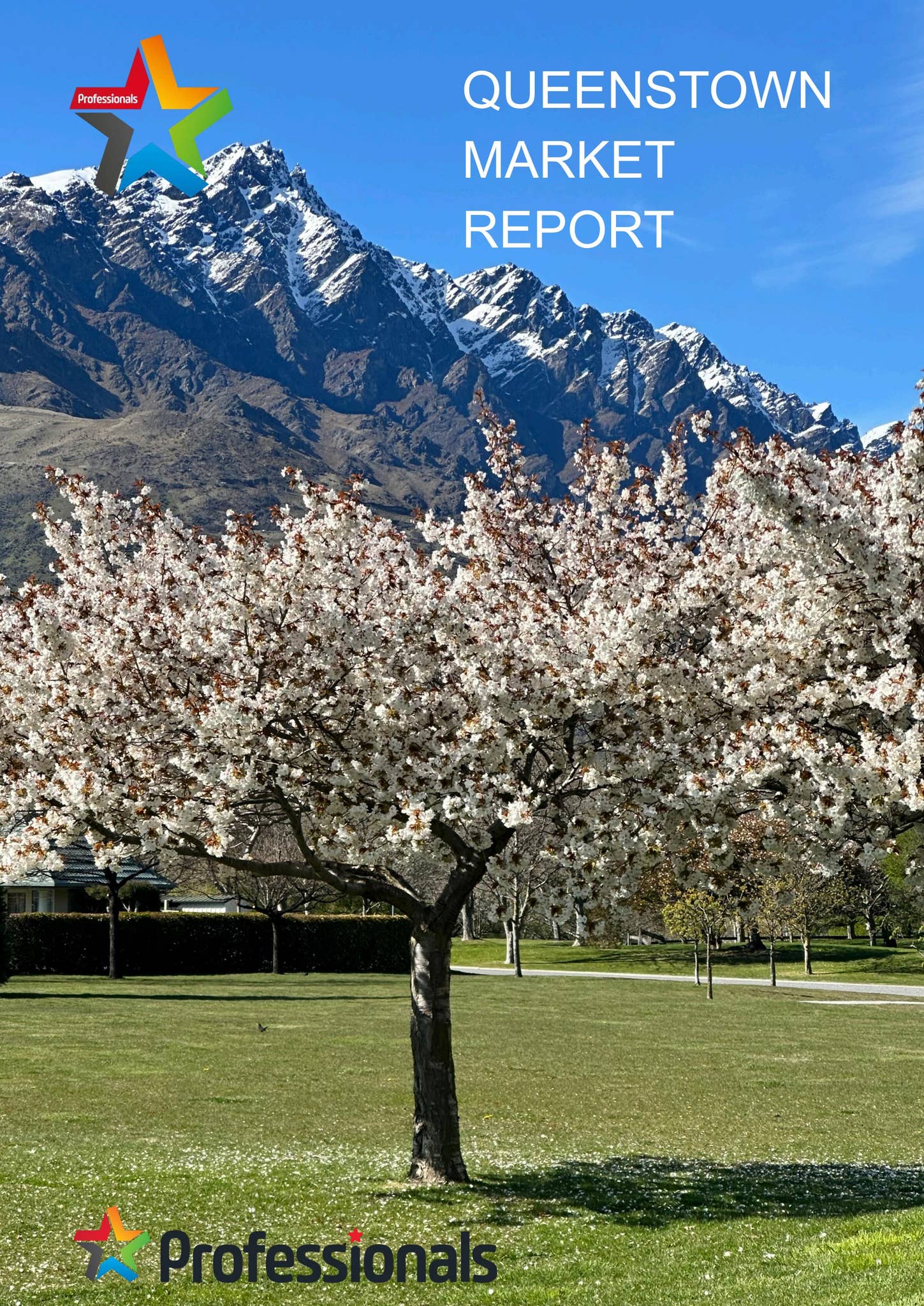 Queenstown Market Report October 2024 by Professionals Queenstown - Issuu