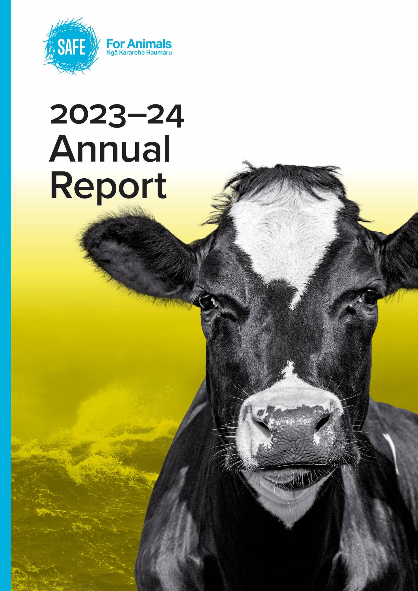 SAFE, Annual Report, 2023/24 by SAFEforanimals - Issuu
