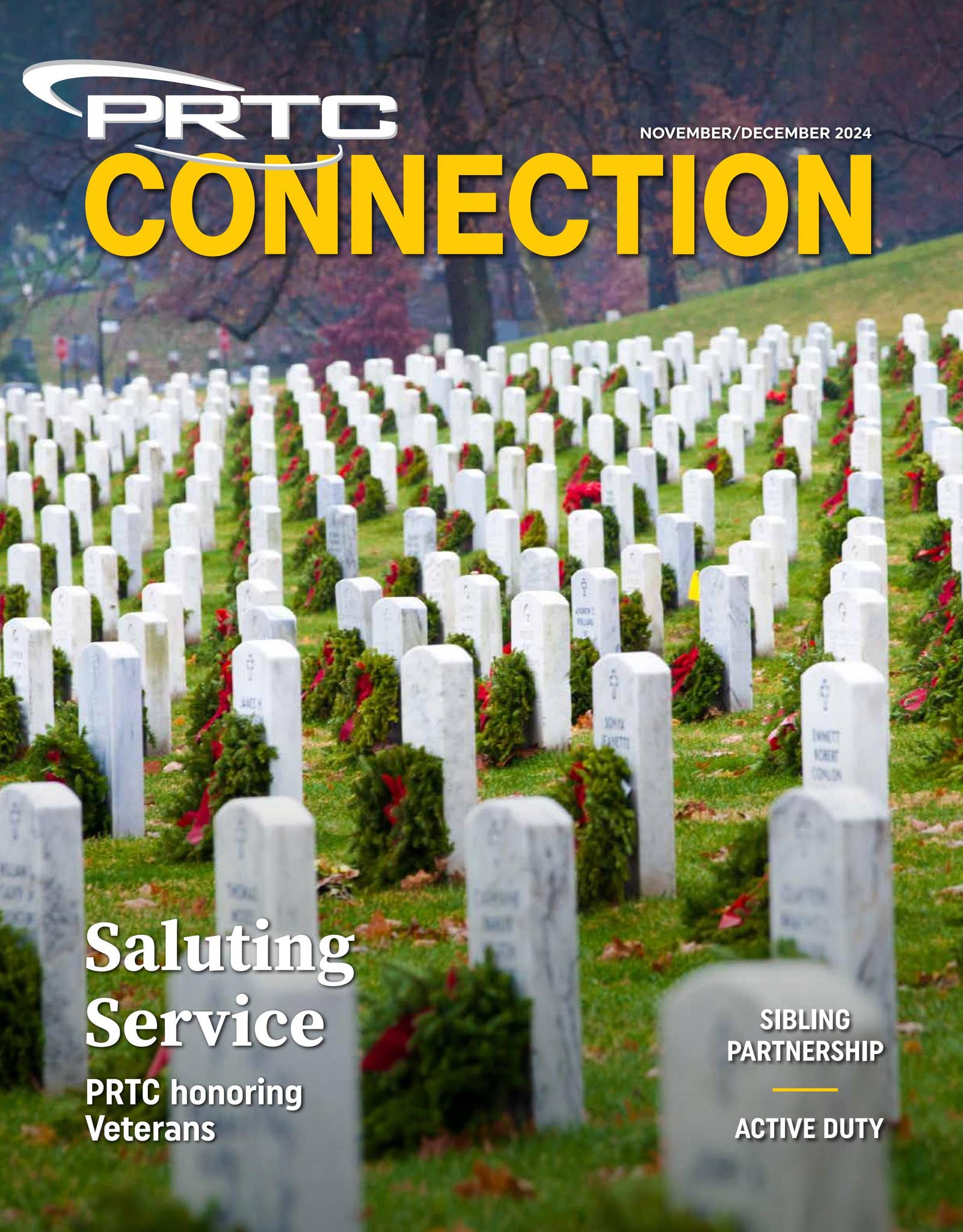 Palmetto Connection November/December 2024 by utilitypioneers - Issuu