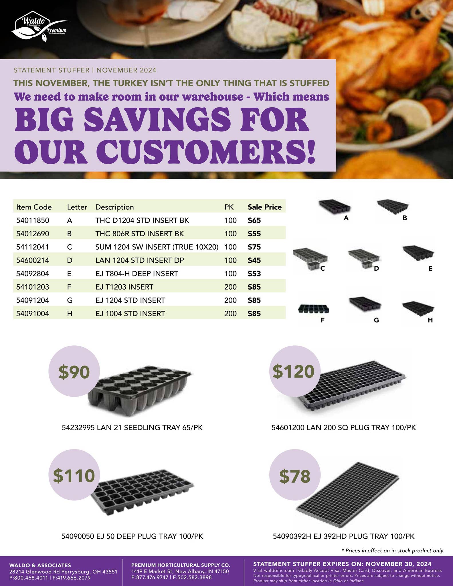 November Statement Stuffer 2024 by Waldo & Associate, Inc - Issuu