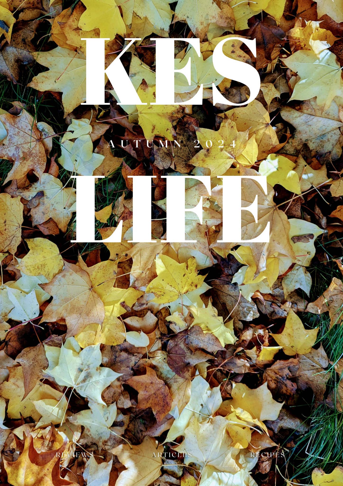 KES Student Magazine Autumn 2024 by King Edward VI School - Issuu