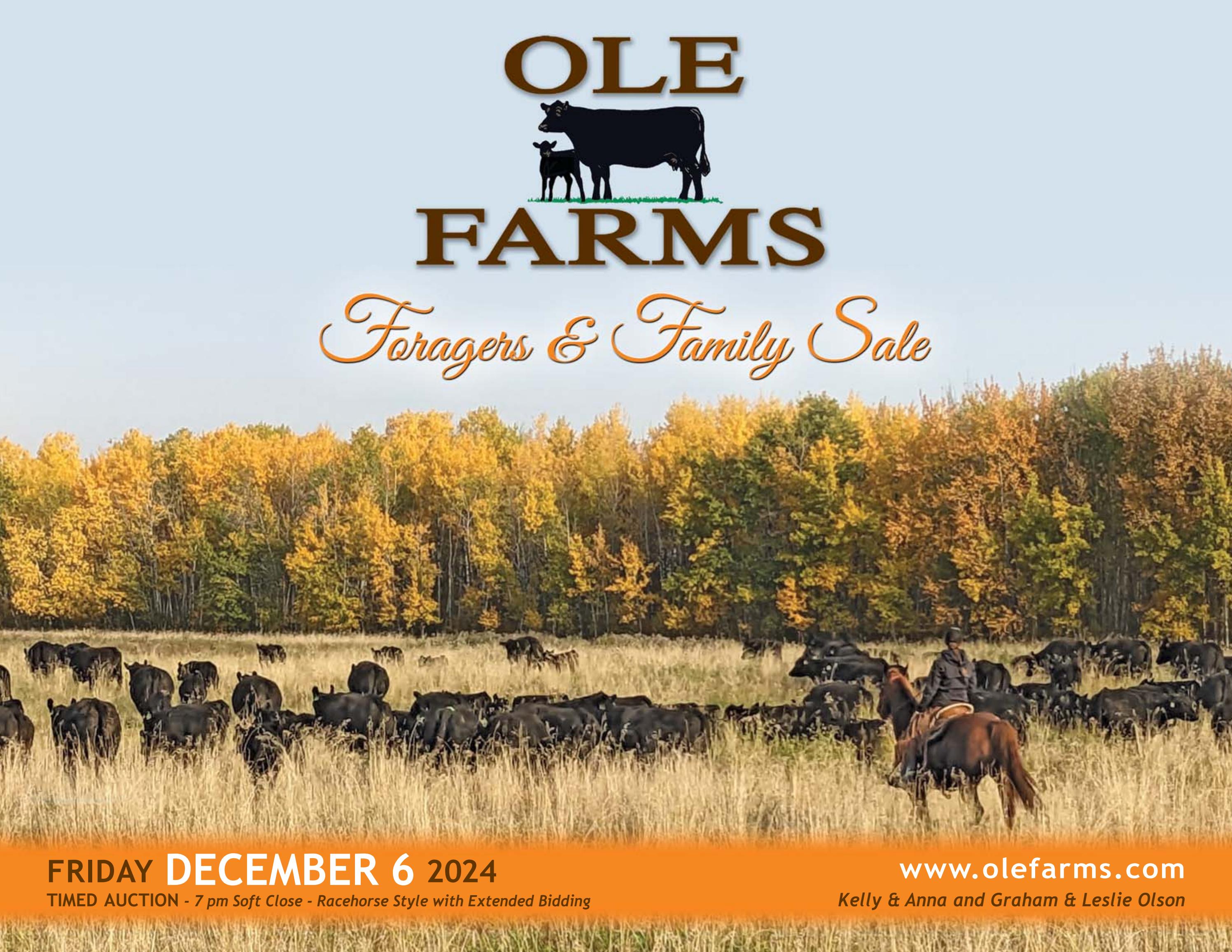 OLE Farms 2024 Foragers & Family Fall Production Sale by DLMS ...