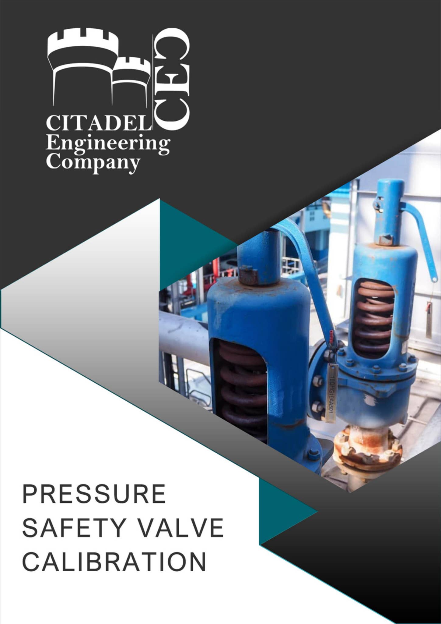 Inspection and Testing of Safety Relief Valves by Citadel Engineering ...