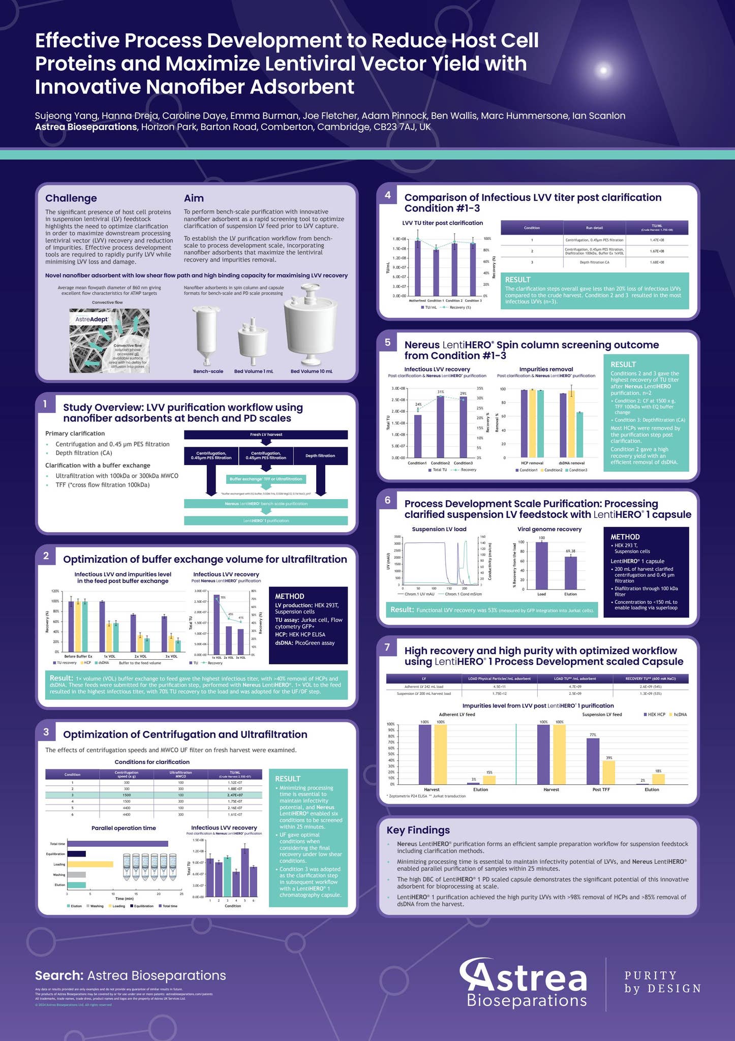 Effective Process Development to Reduce HCP and Maximize LVV Yield with ...