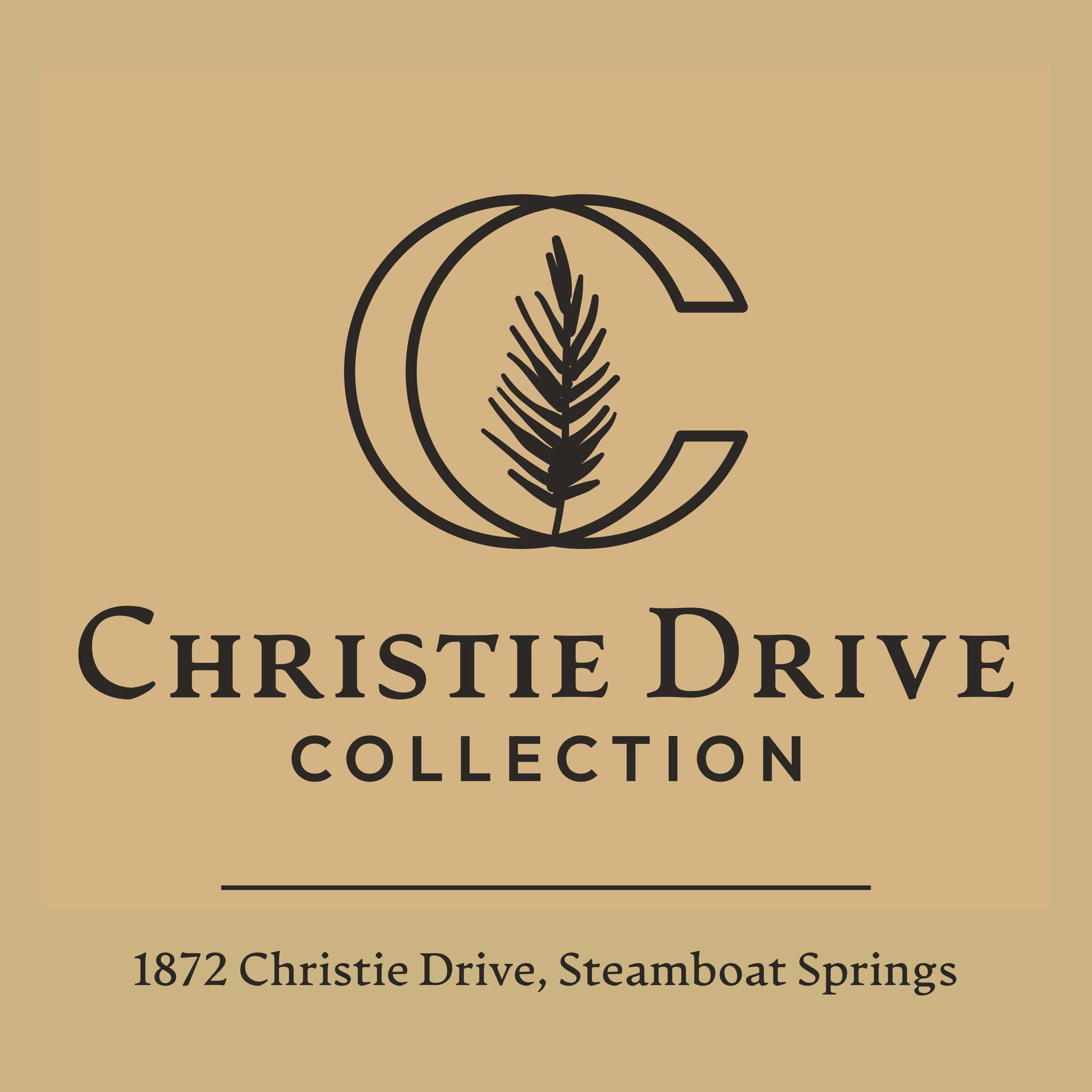 1872 Christie Drive Brochure by The Agency Steamboat - Issuu