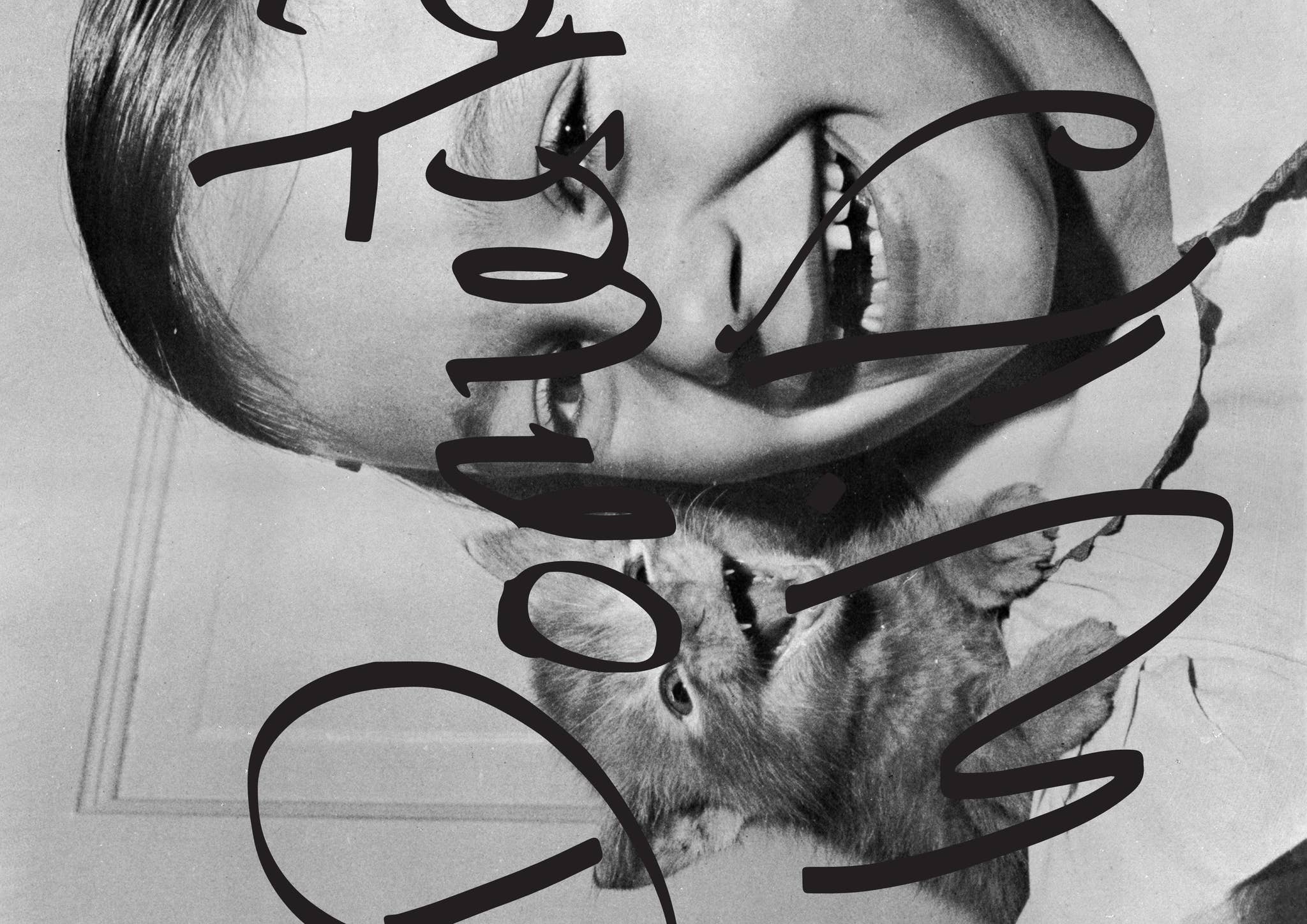 Ava Seymour: Domestic Wild by TeUruGallery - Issuu