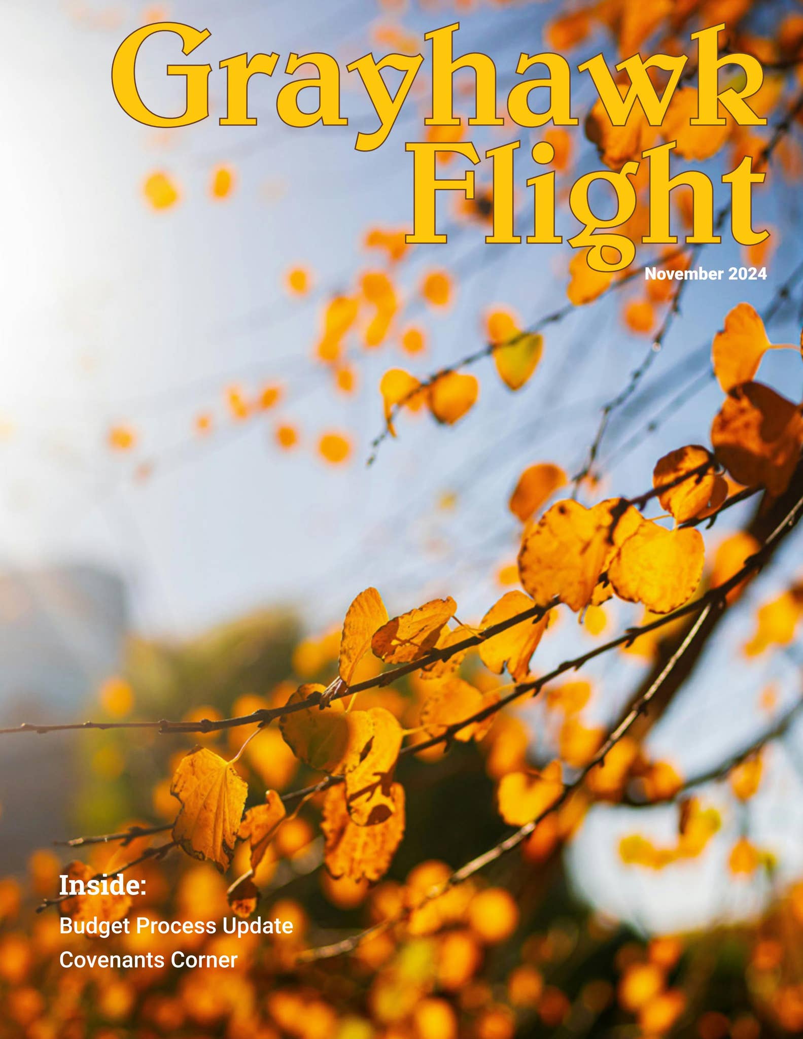 The Grayhawk Flight- November 2024 by Grayhawk Flight - Issuu