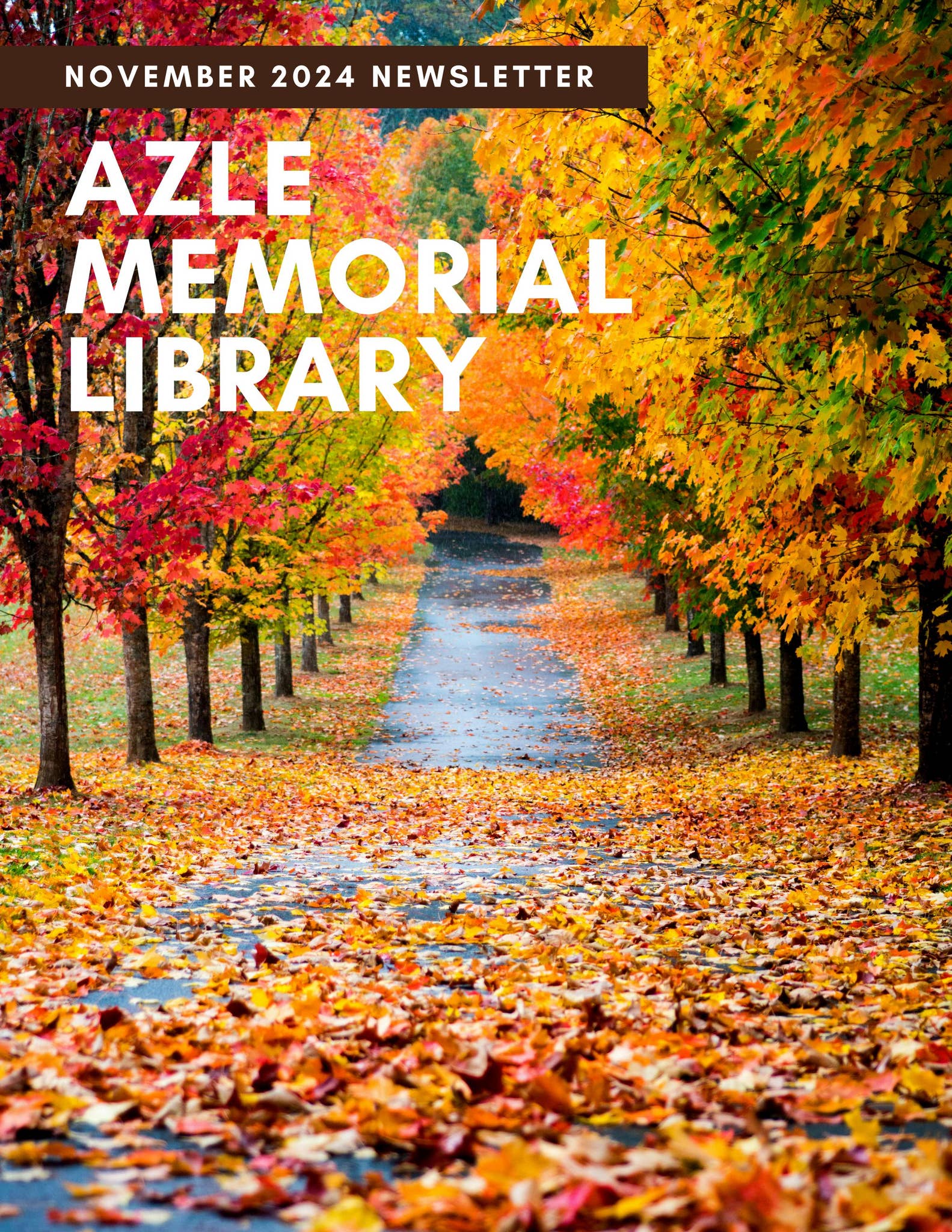 Azle Memorial Library November 2024 Newsletter by City of Azle - Issuu