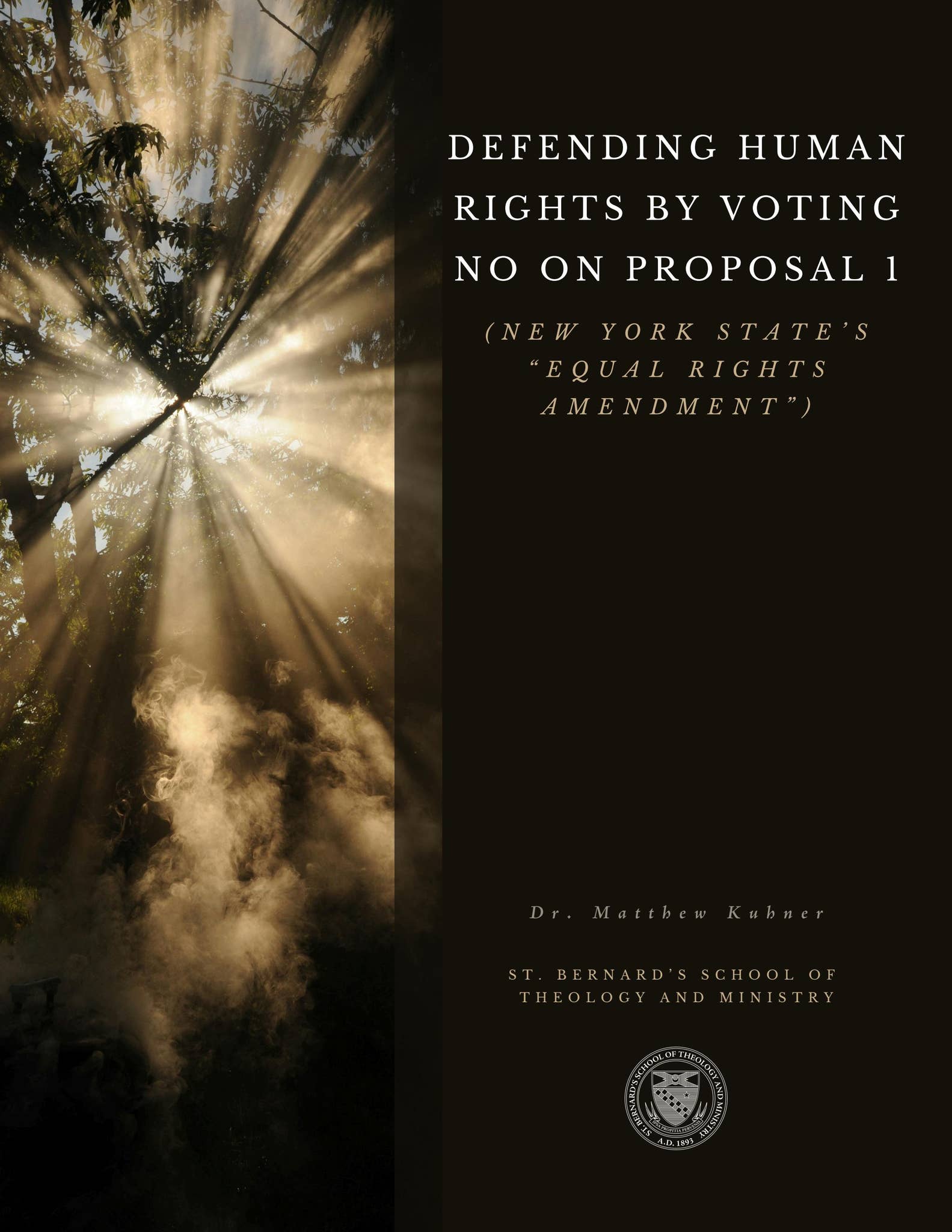 Defending Human Rights by Voting No on Proposal 1 (New York State's ...