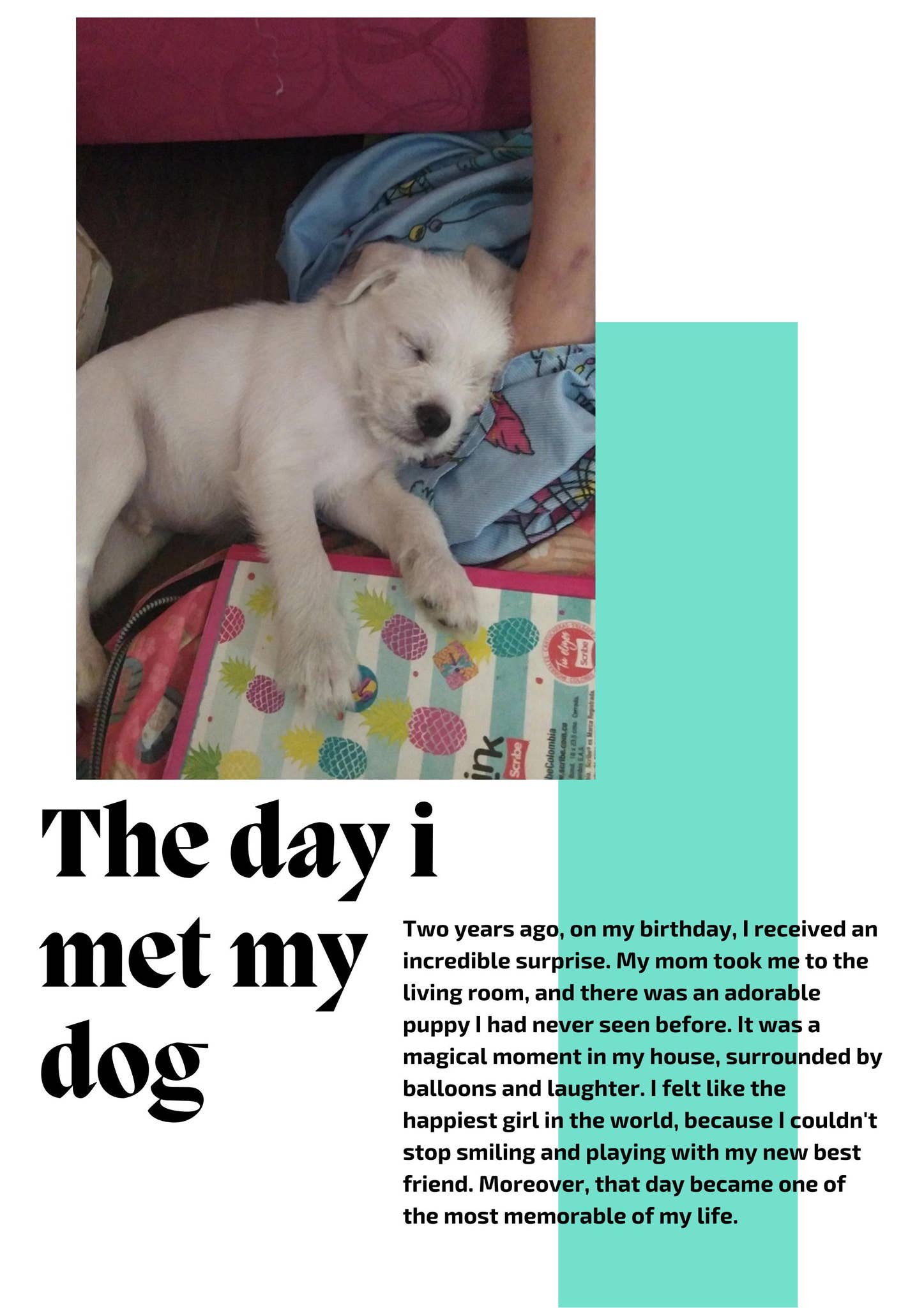 My first document by Valen - Issuu