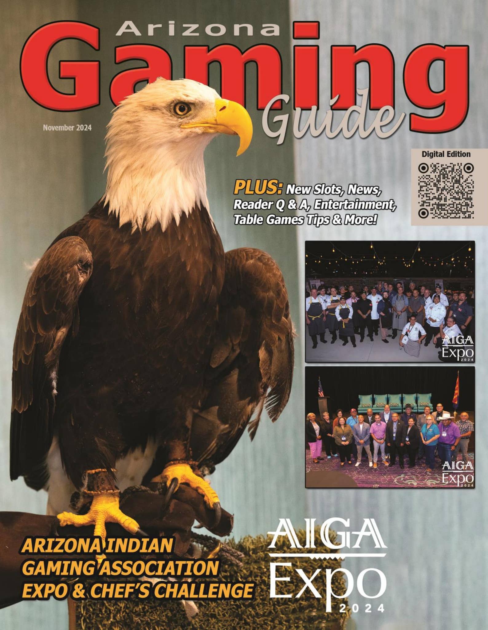 Arizona Gaming Guide Magazine - November 2024 - 16:11 by Arizona Gaming ...