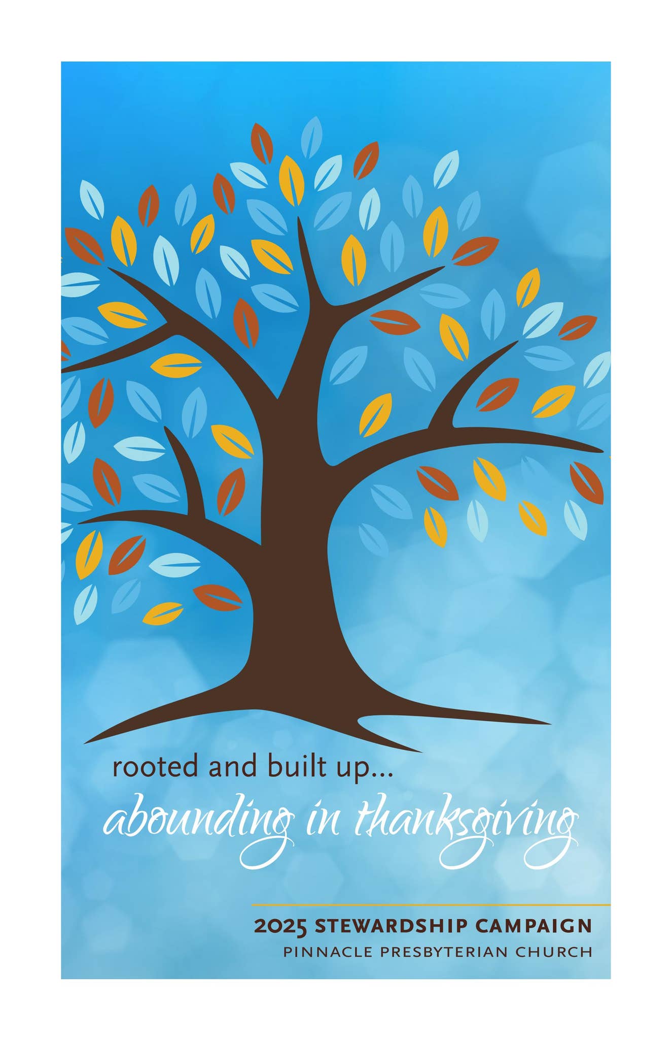 2025 Stewardship Campaign Brochure by Pinnacle Presbyterian Church - Issuu