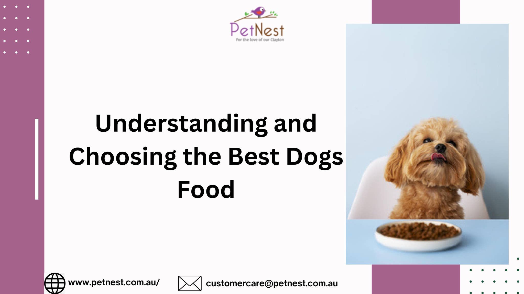 Understanding and Choosing the best dogs food by Pet Nest - Issuu