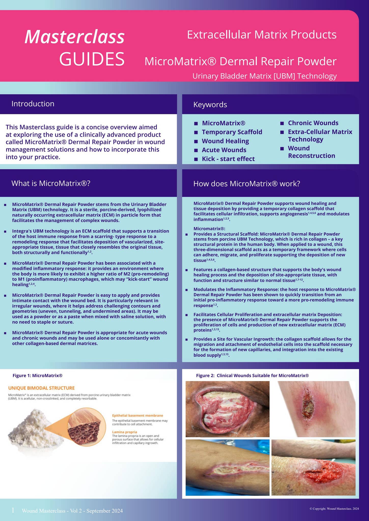 MicroMatrix Dermal Repair Powder by woundmasterclass - Issuu