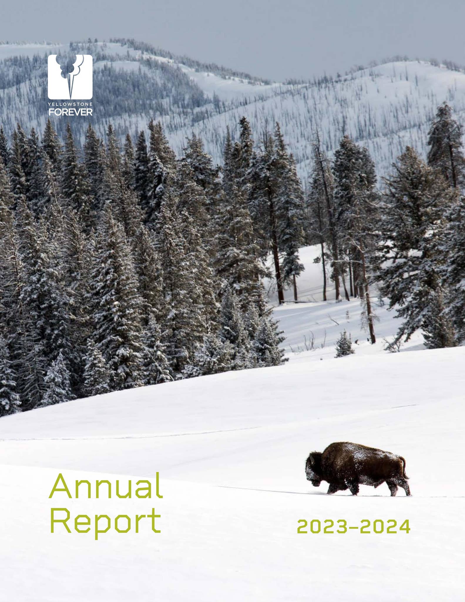 Yellowstone Forever Annual Report 2023-2024 by Yellowstone Forever - Issuu