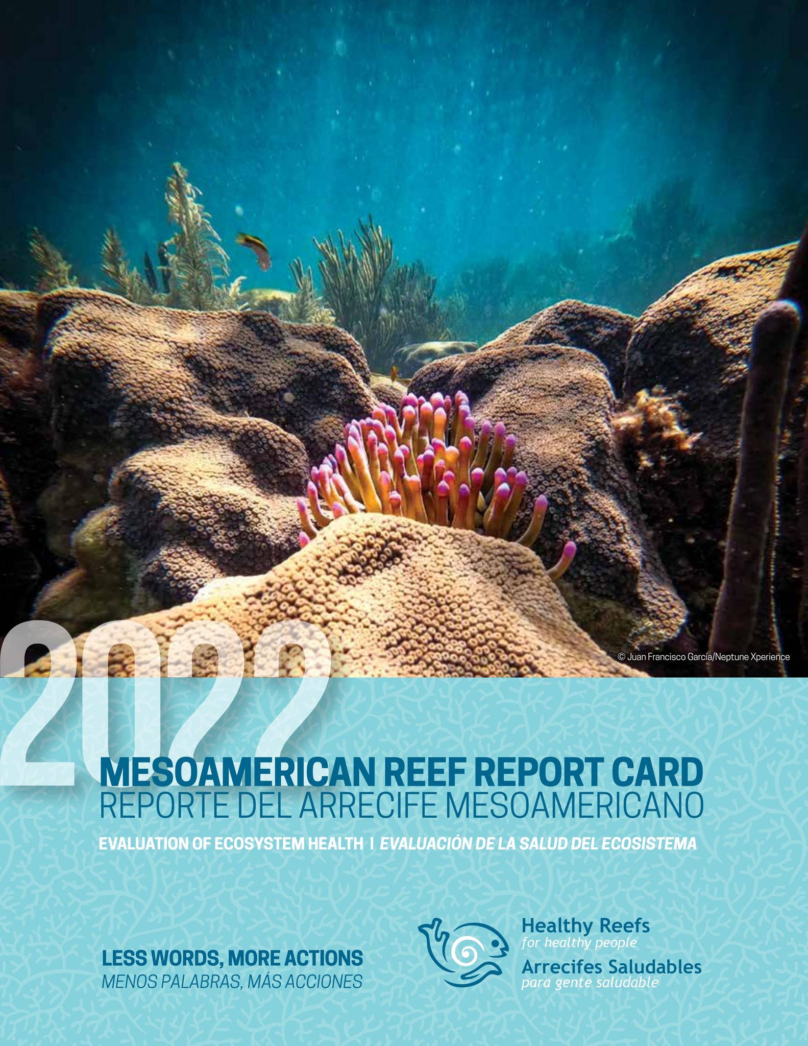 Smithsonian Healthy Reefs Report Card 2022 by Studiorod - Issuu