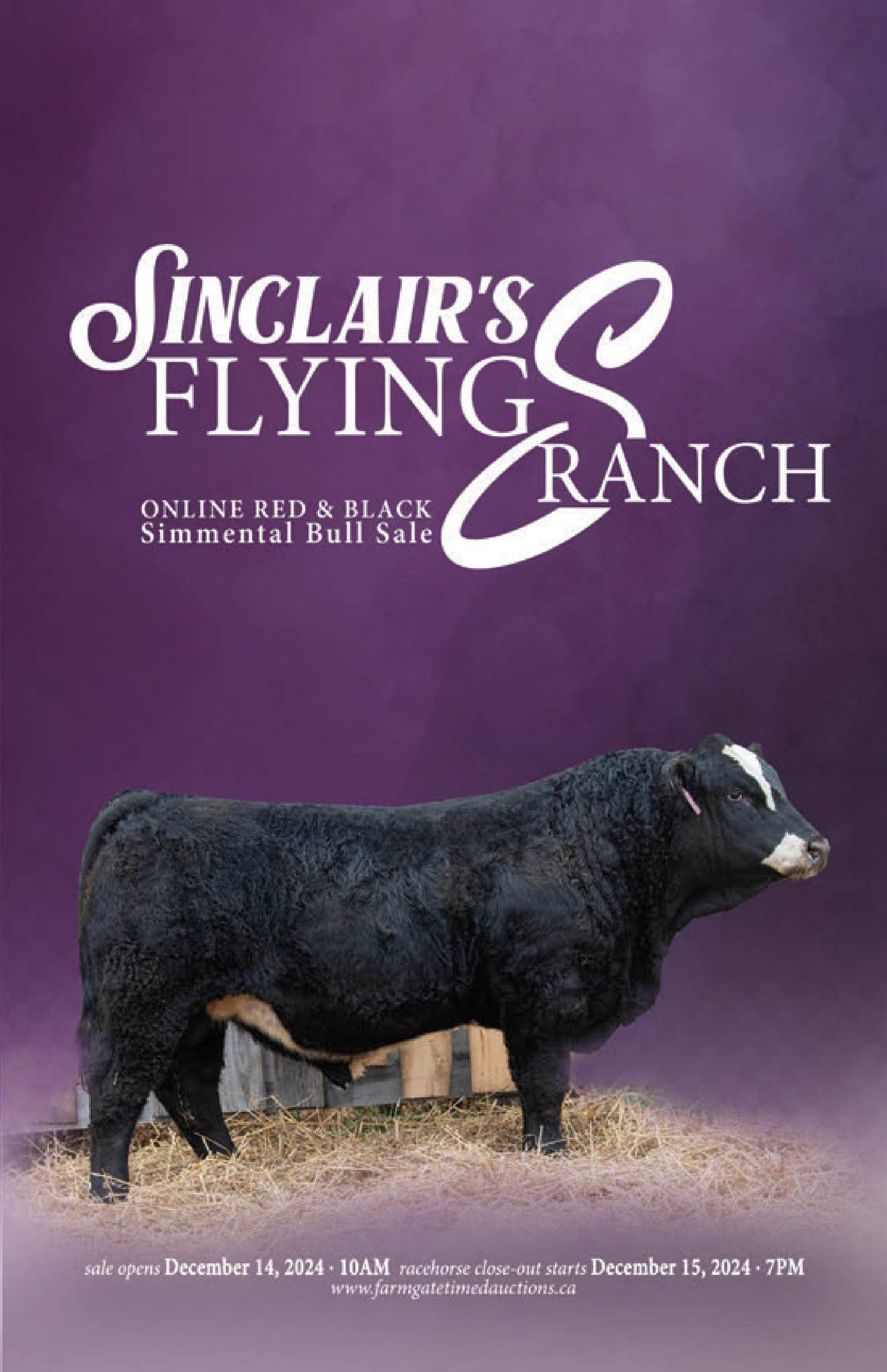 Sinclair Flying S Fall Bull Sale 2024 - DLMS Farm Gate Timed Auction by ...