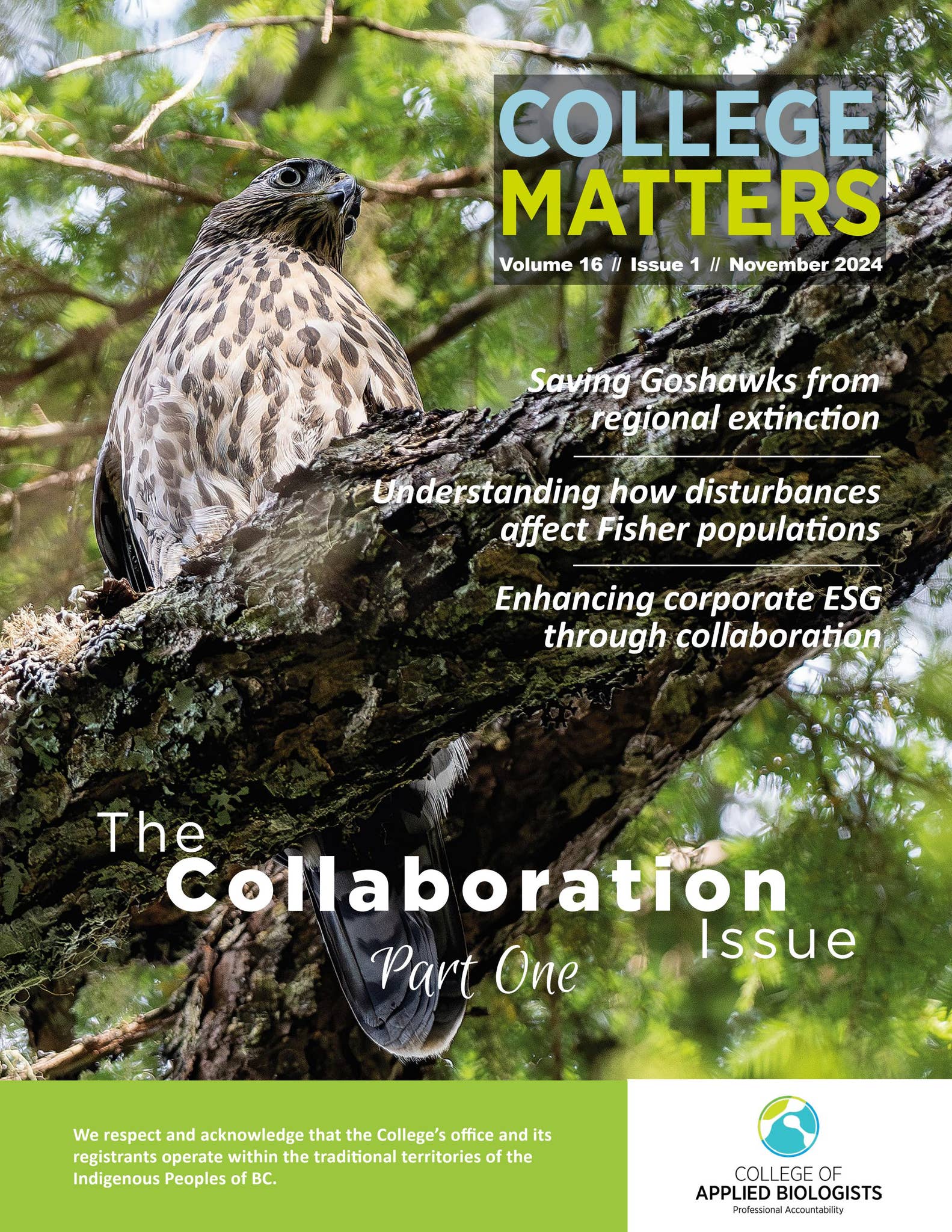 College Matters - Volume 16 - Issue 1 - November 2024 by College of ...