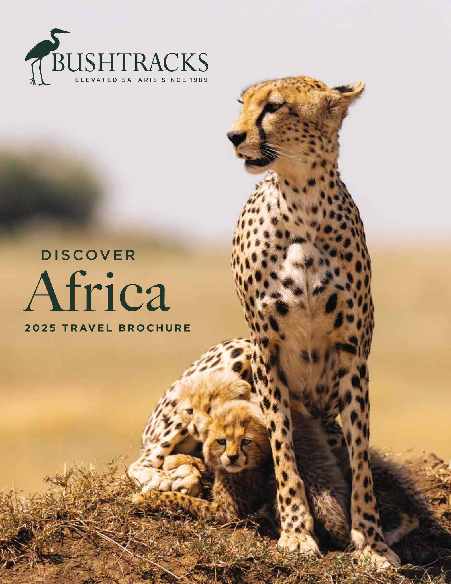 2025 Bushtracks Travel Brochure by bushtracks_expeditions - Issuu