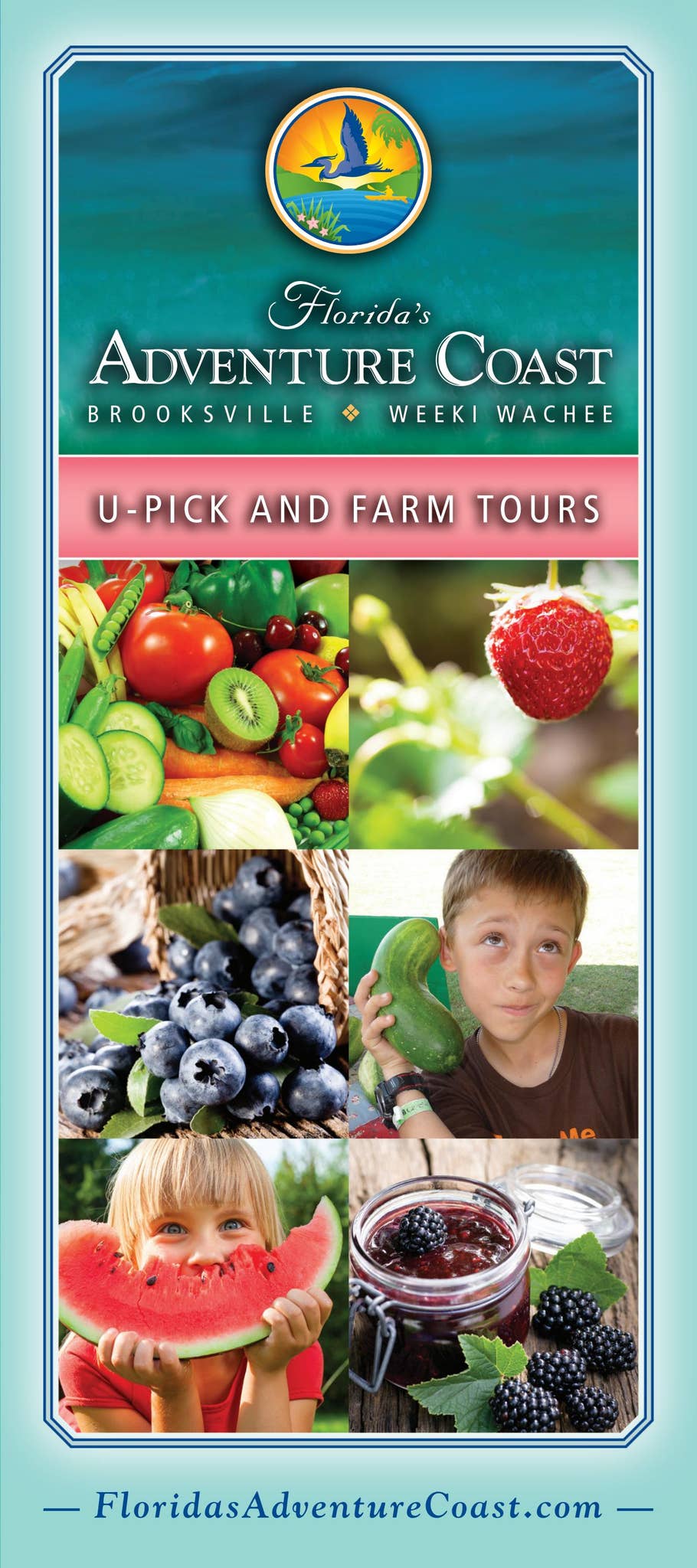 Florida's Adventure Coast U-Pick and Farm Tours by Florida's Adventure ...
