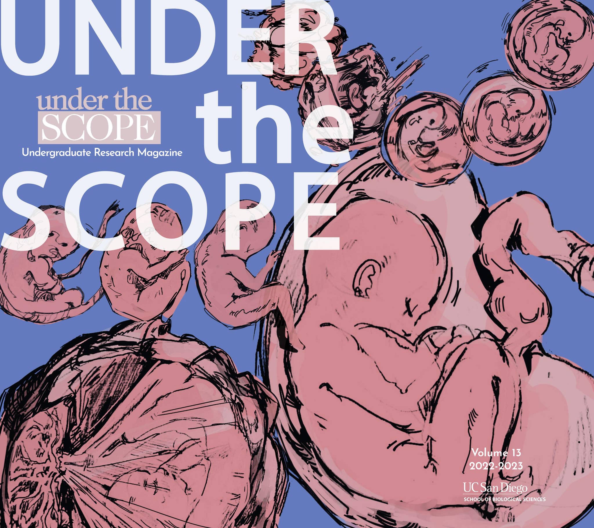 UTS Volume 13 (2022-2023) by Saltman Quarterly - Issuu