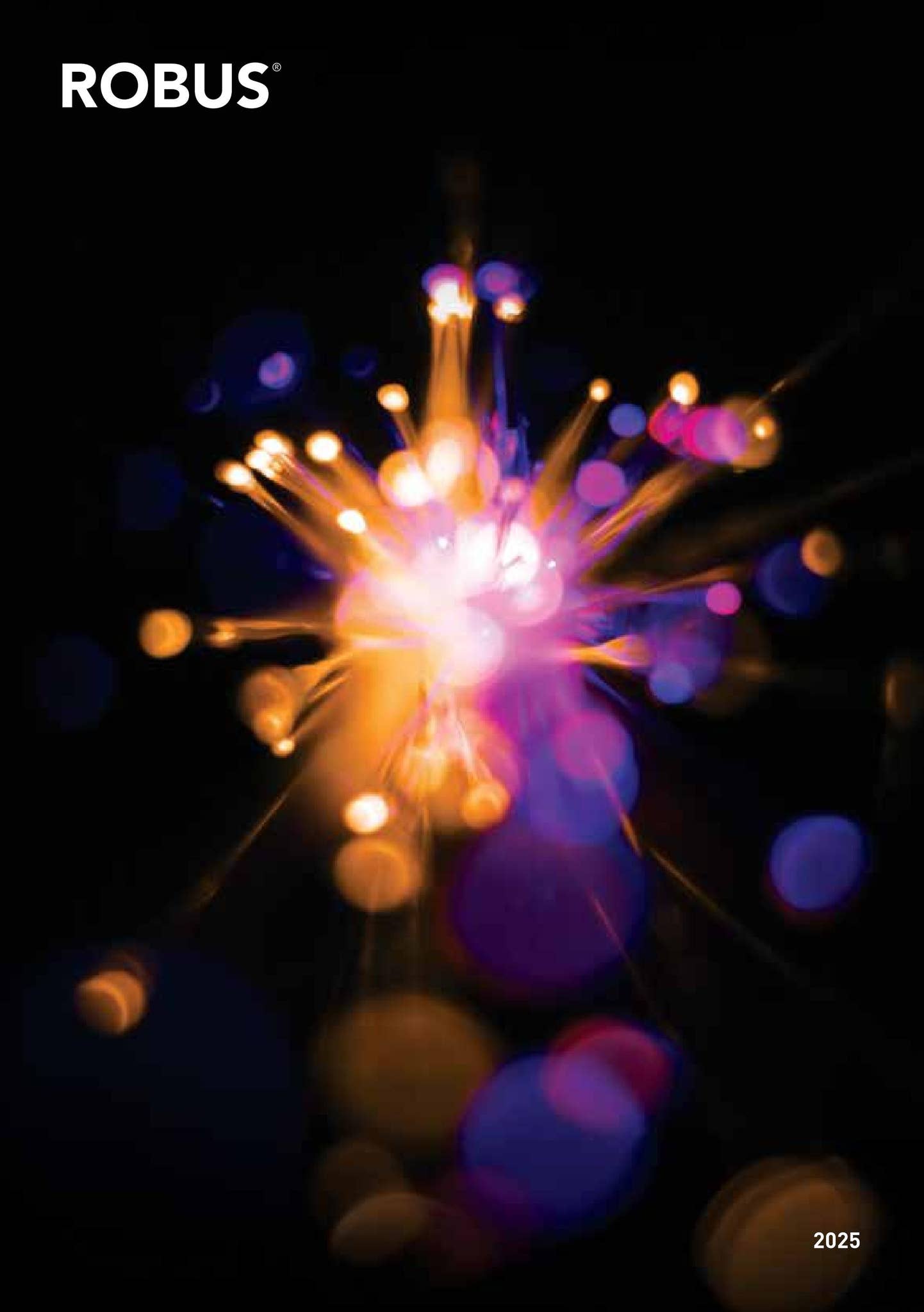 ROBUS Catalogue 2025 UK & Ireland by LED Group - Issuu