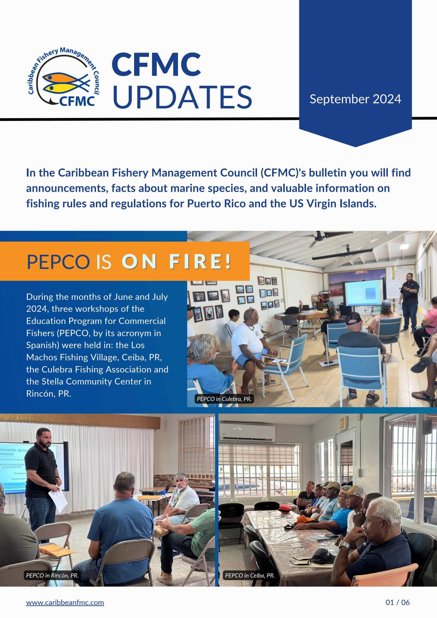 CFMC Updates (September 2024) by Caribbean Fishery Management Council ...