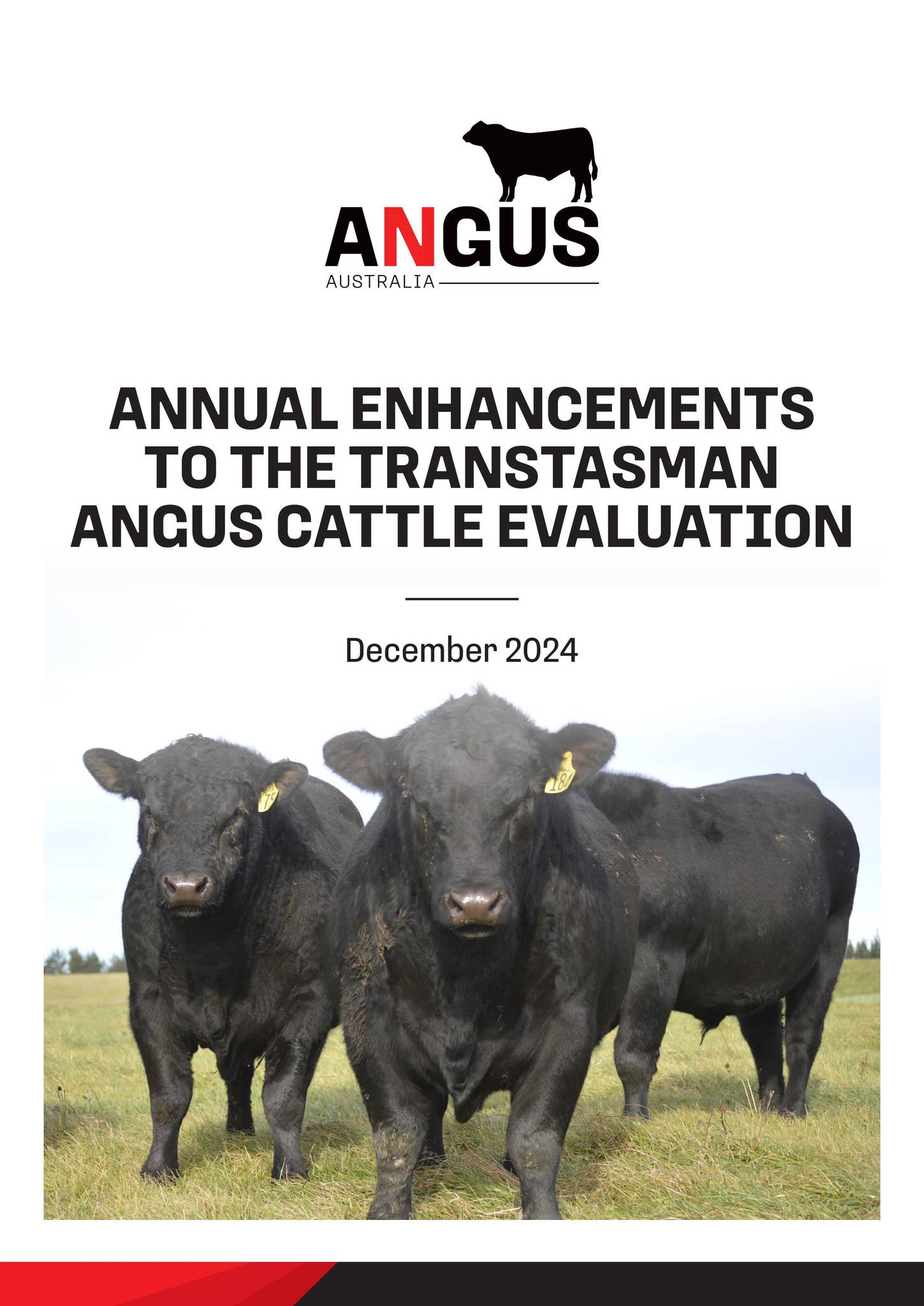 Enhancements to TACE December 2024 by Angus Australia - Issuu