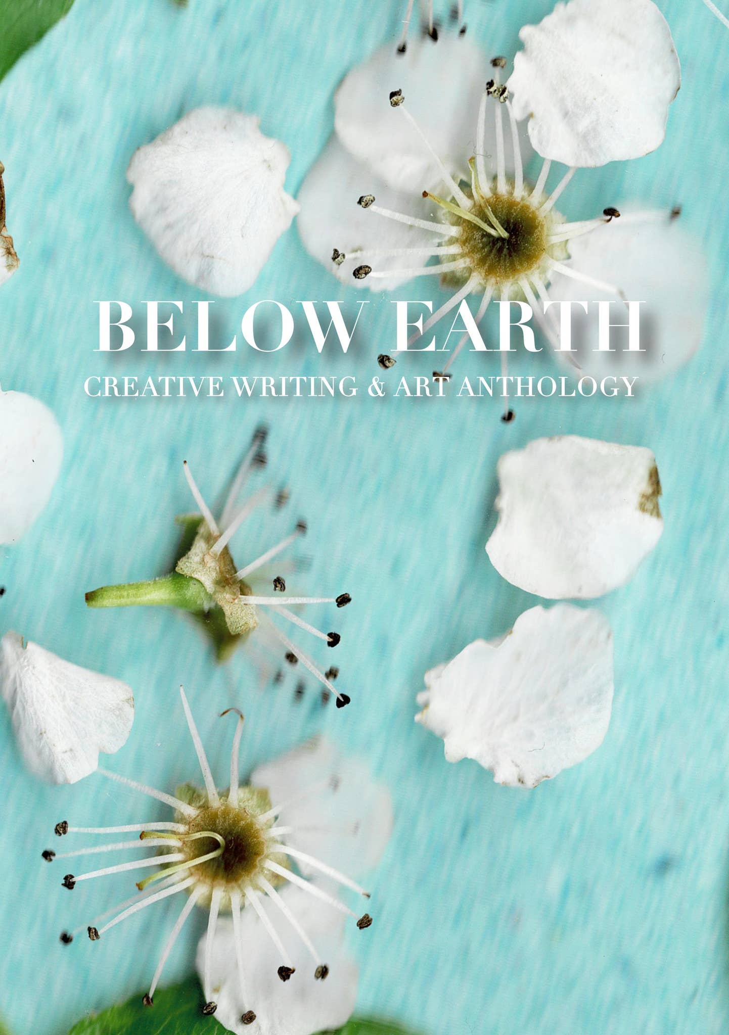 BELOW EARTH ANTHOLOGY 2024 by Farrago Magazine - Issuu
