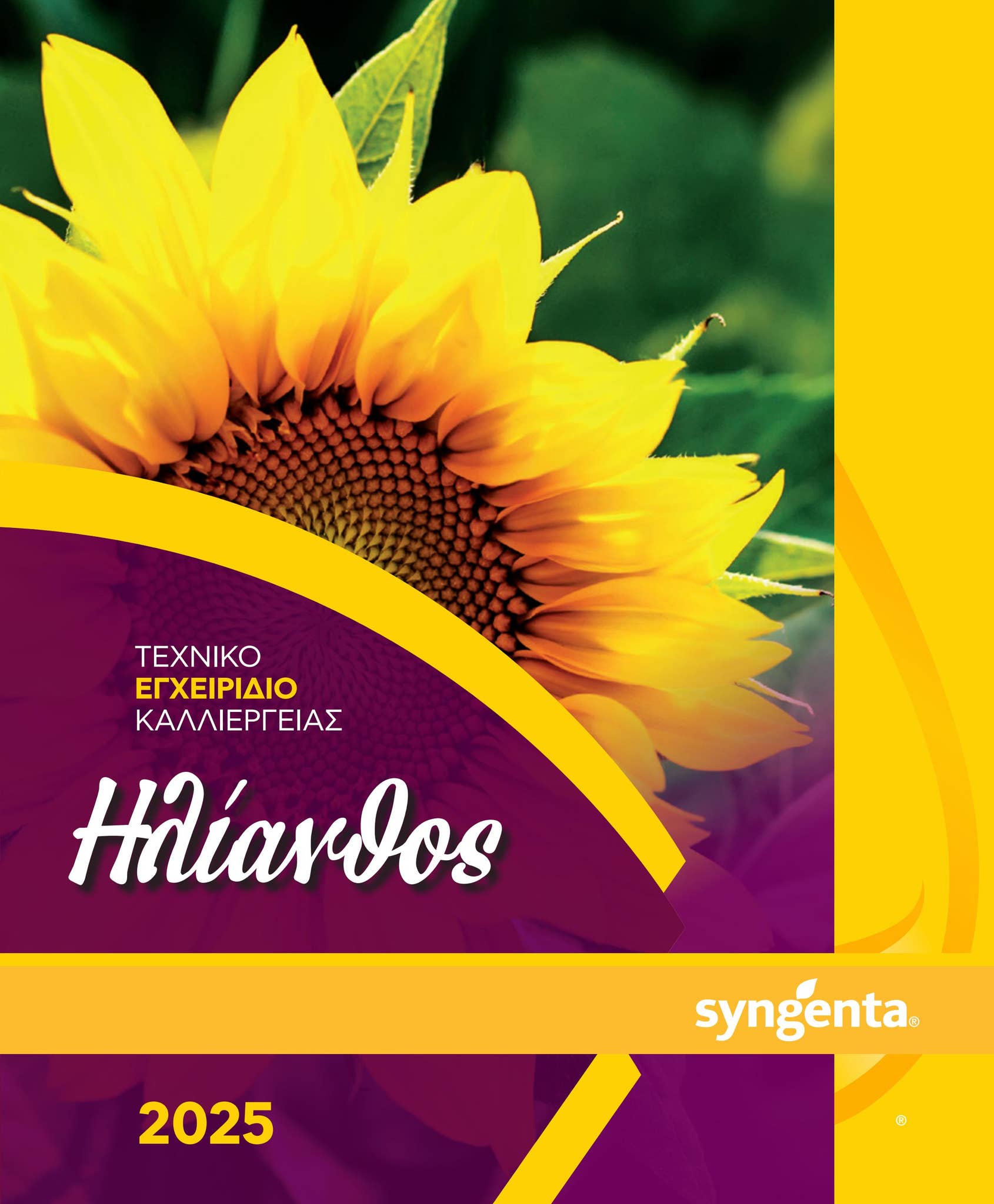 Ηλίανθος 2025 by Syngenta Hellas - Issuu