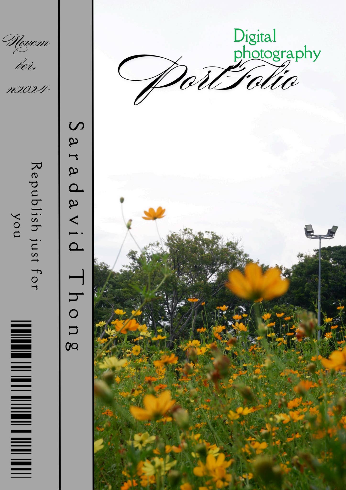 SARADAVID’s portfolio by VISI Vid - Issuu