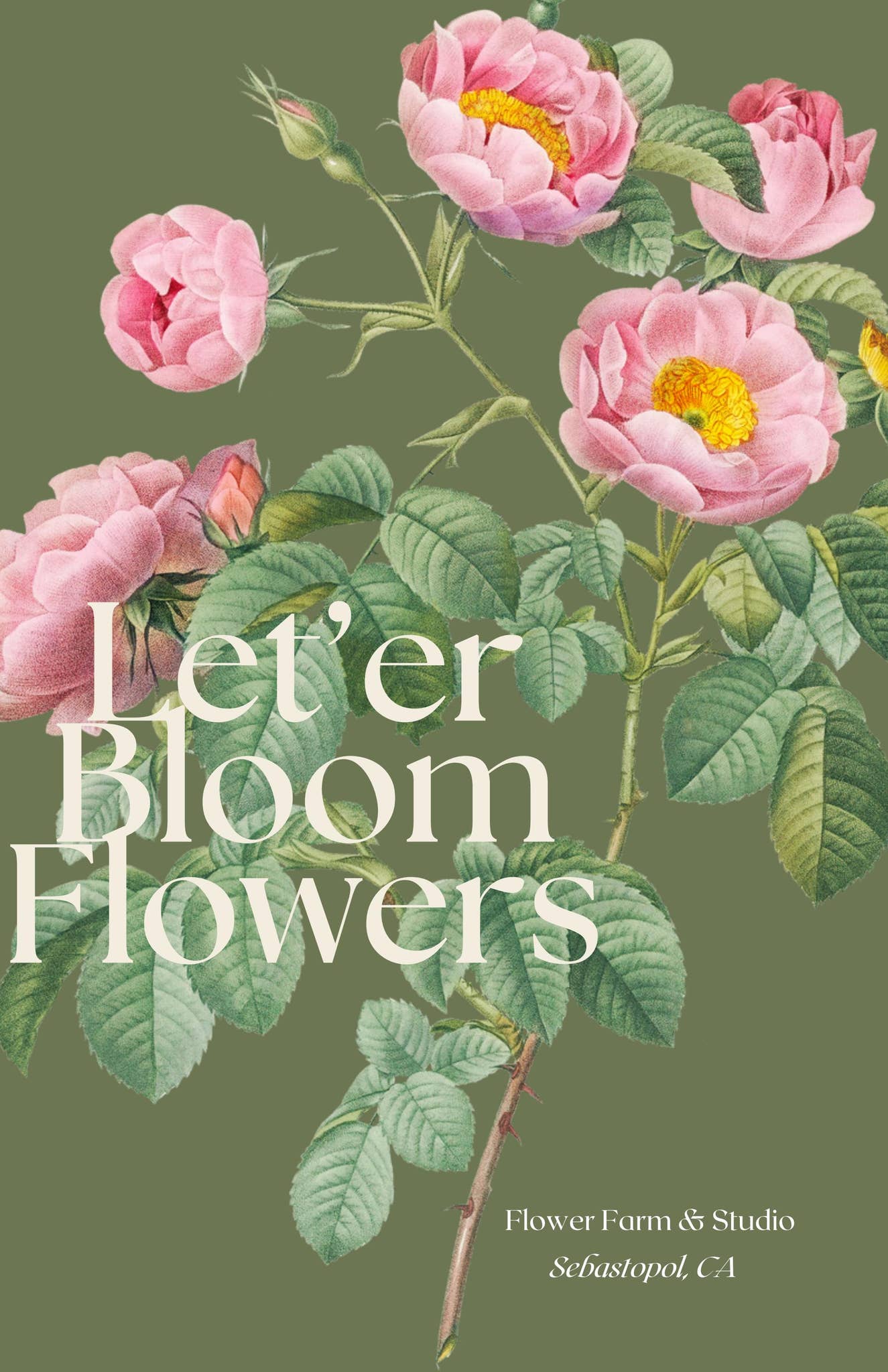 2025 Pricing Guide by Lauren Kelly - Issuu