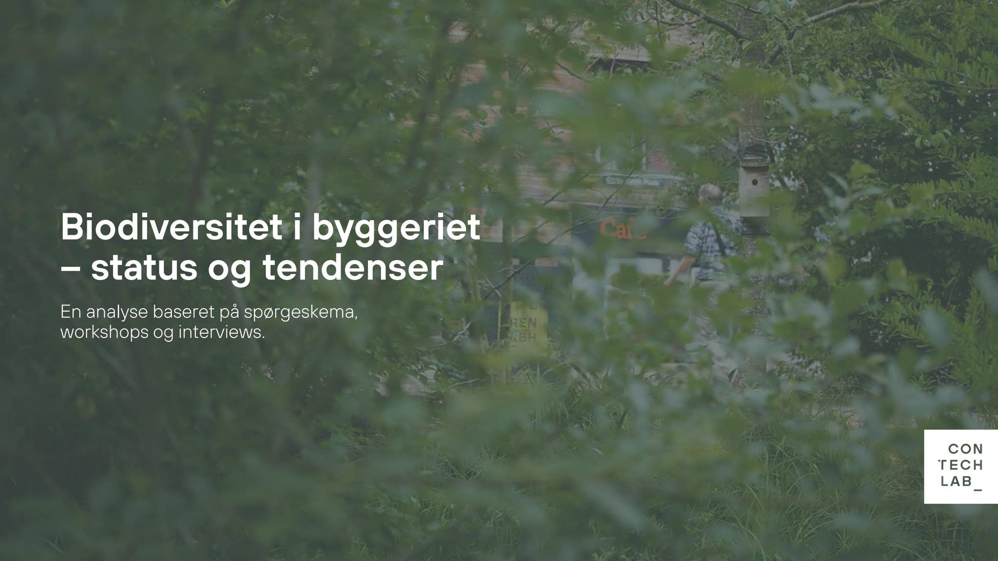 Biodiversitet i byggeriet - status og tendenser by ConTech Lab - en del af Molio - Issuu