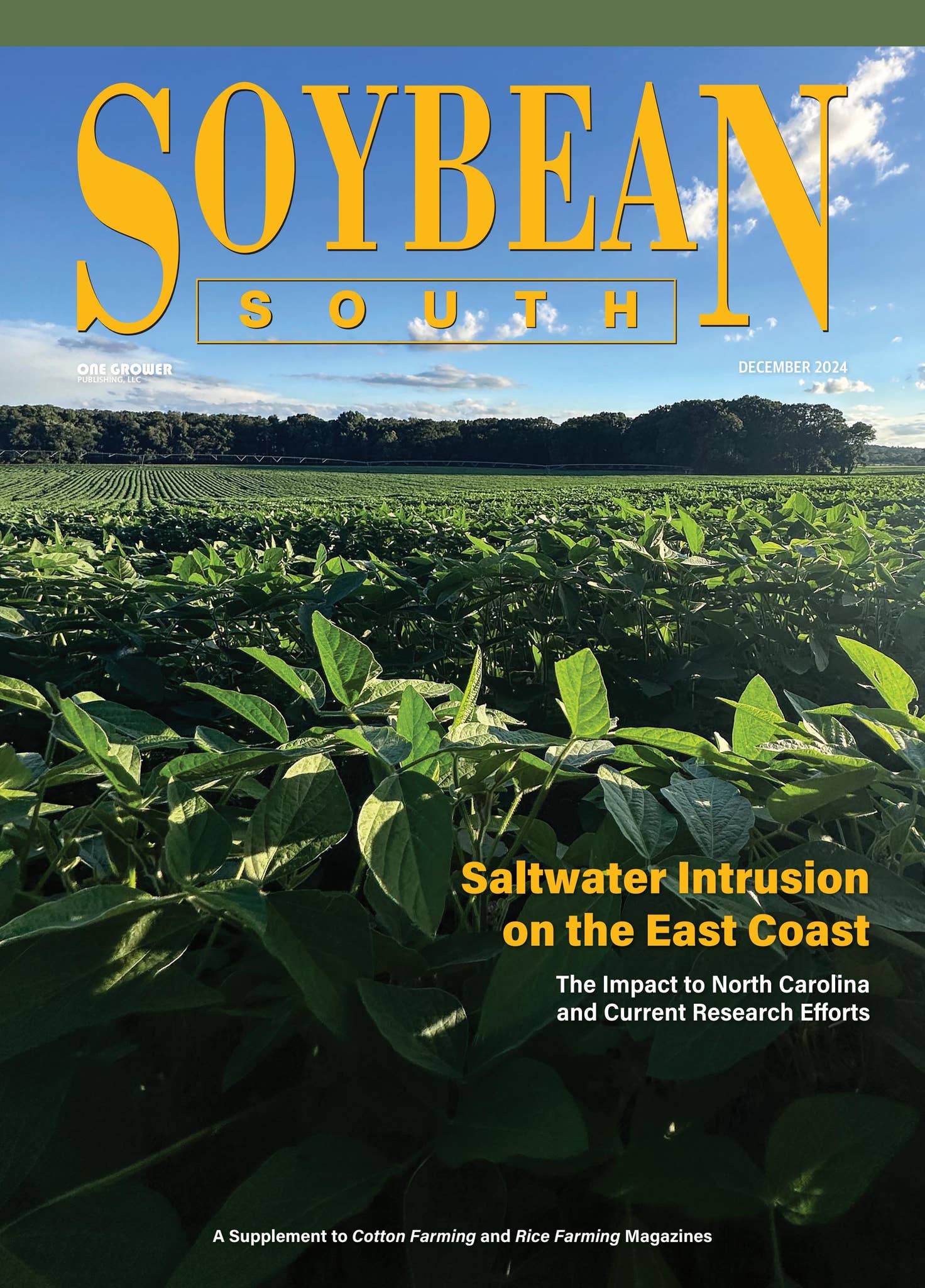 Soybean South December 2024 by One Grower Publishing - Issuu