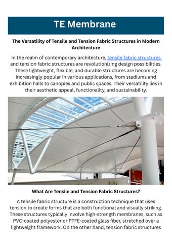 TE Membrane by temembrane2 - Issuu