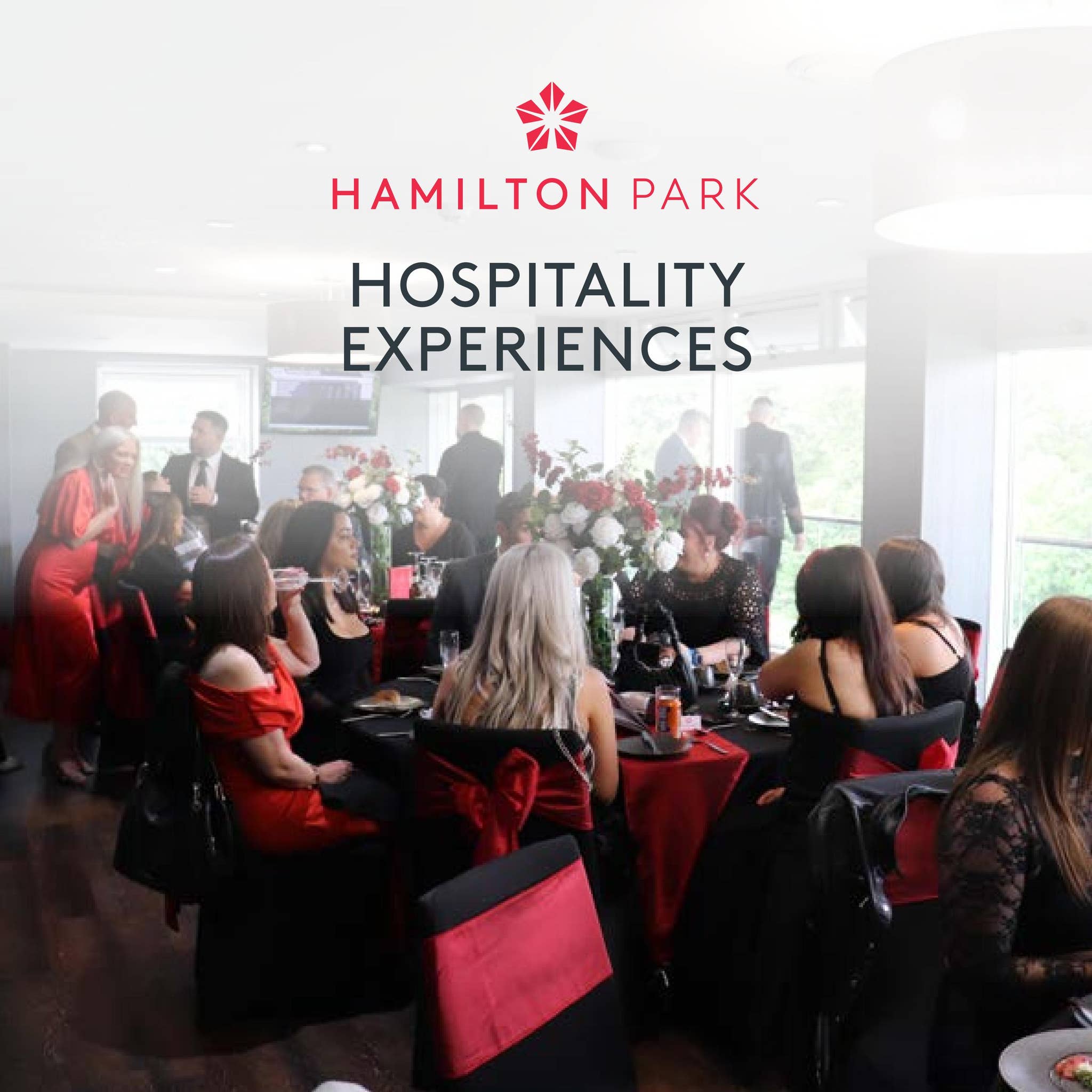 Hamilton Park 2025 Hospitality Brochure by hamilton-park.co.uk - Issuu