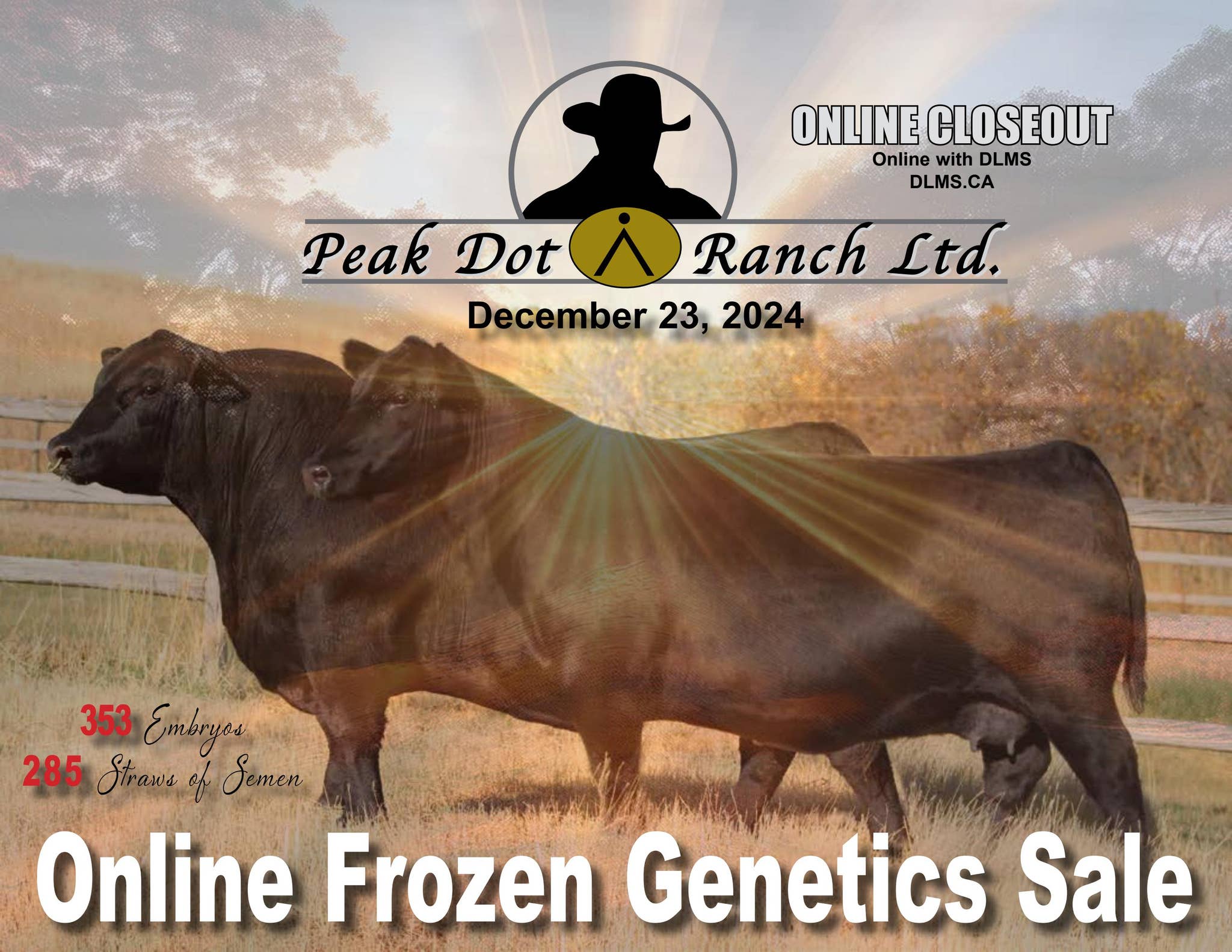 Peak Dot Ranch Ltd. Frozen Genetic Sale 2024 by Today's Publishing Inc ...