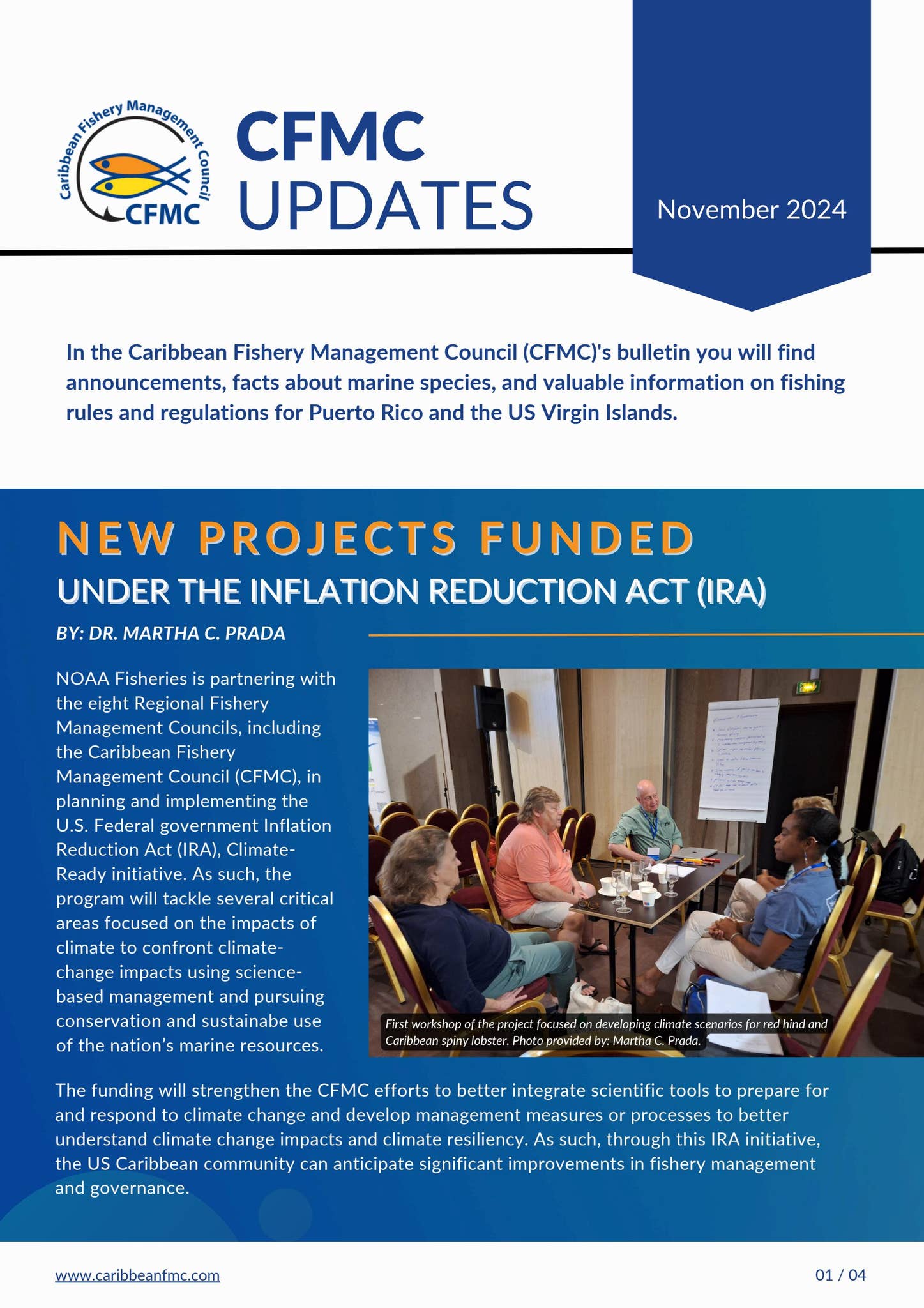 CFMC Updates (November 2024) by Caribbean Fishery Management Council ...