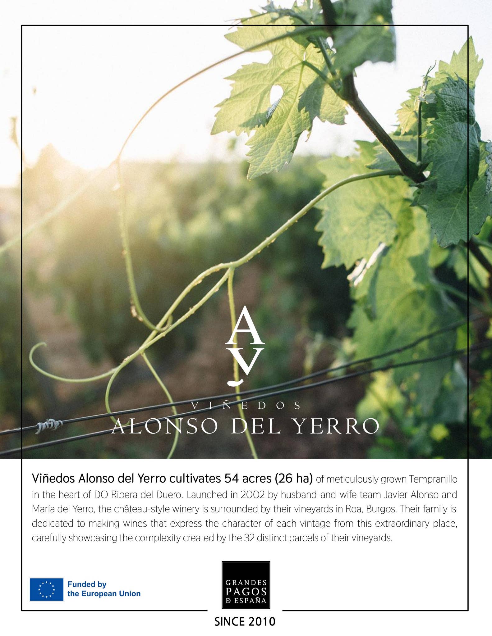 GPE Media Kits_ Region 1 Meseta Norte_ALONSO DEL YERRO_EN by ...